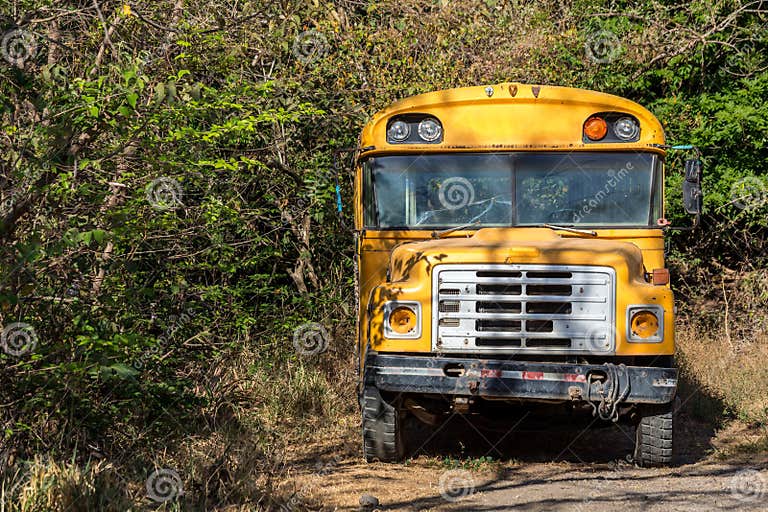 An old rusty school bus stock image. Image of windows - 63890847