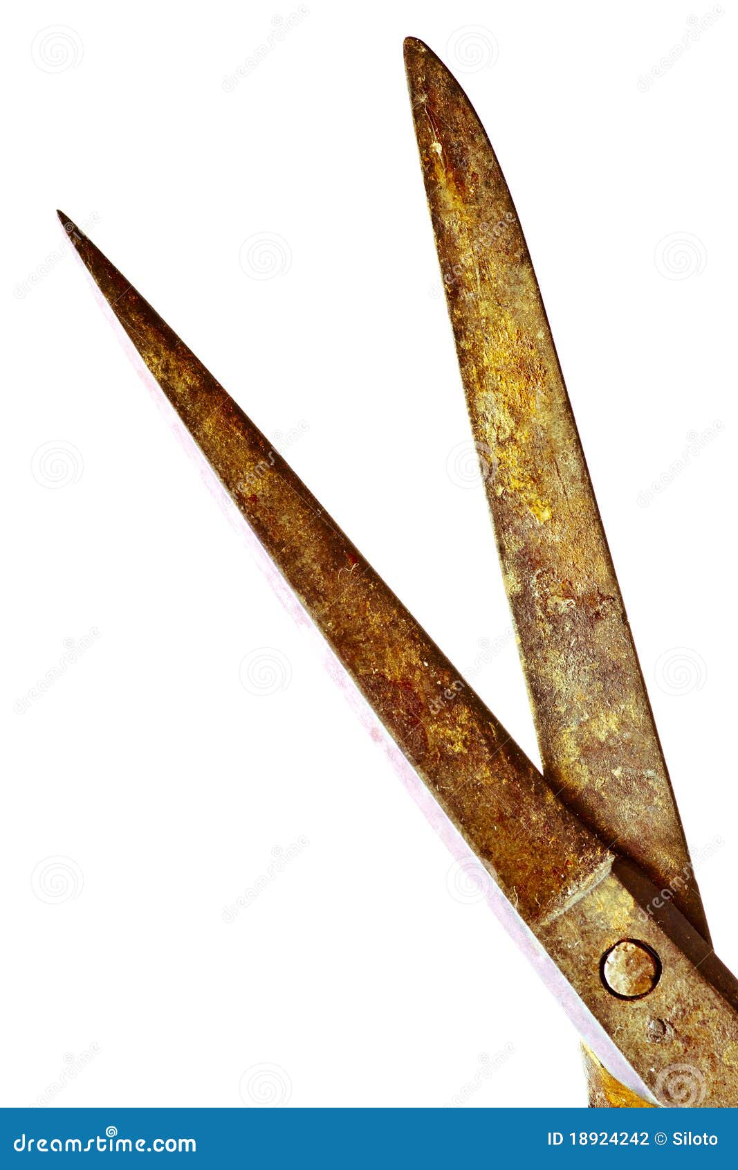 Old rusty scissors stock photo. Image of hand, appliance - 18924242