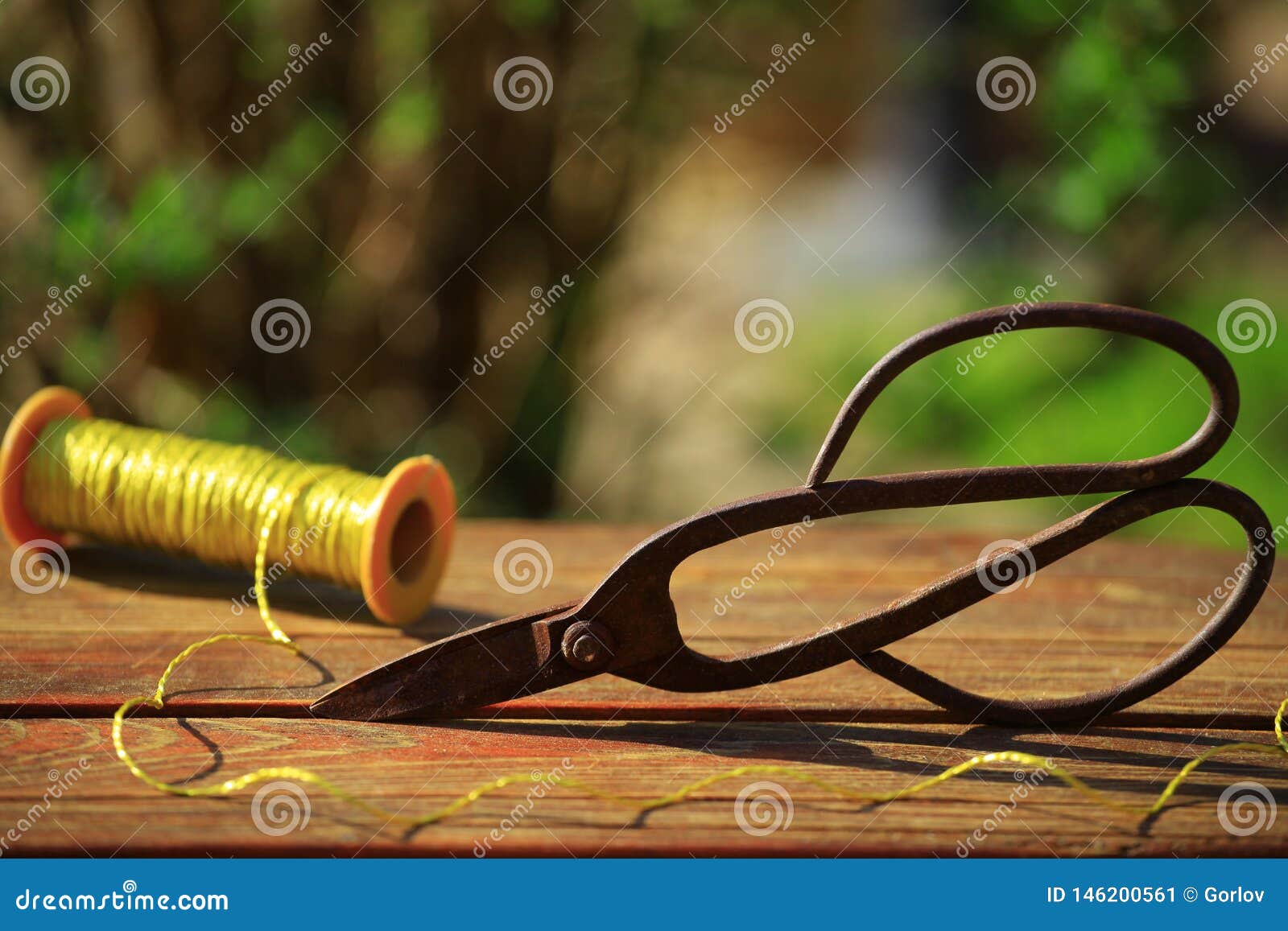 Old Rusty Scissors Gold String Wooden Sharp Table Garden Stock Image ...