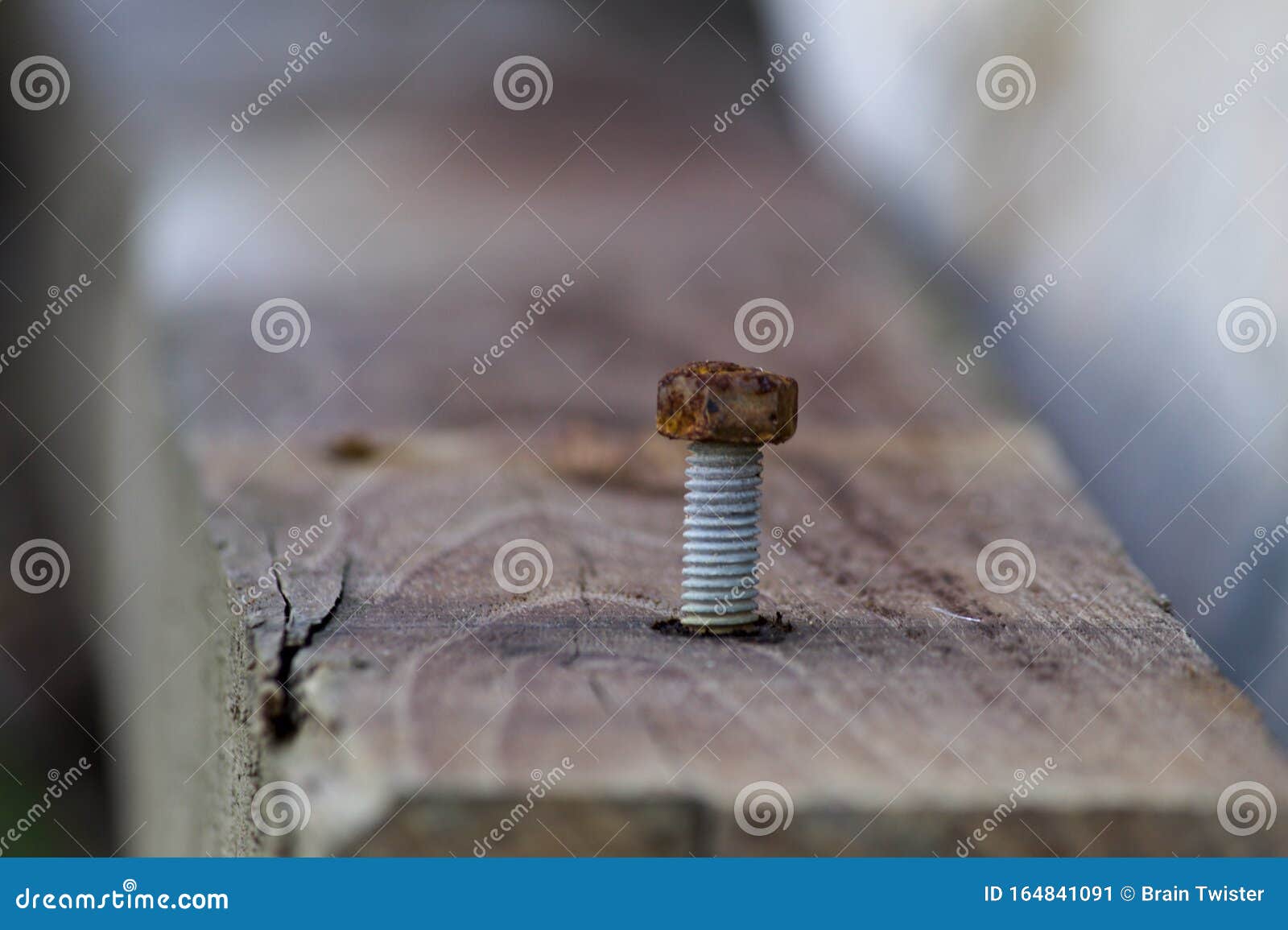 Old rusty in wood stock image. Image of rusty, wood - 164841091