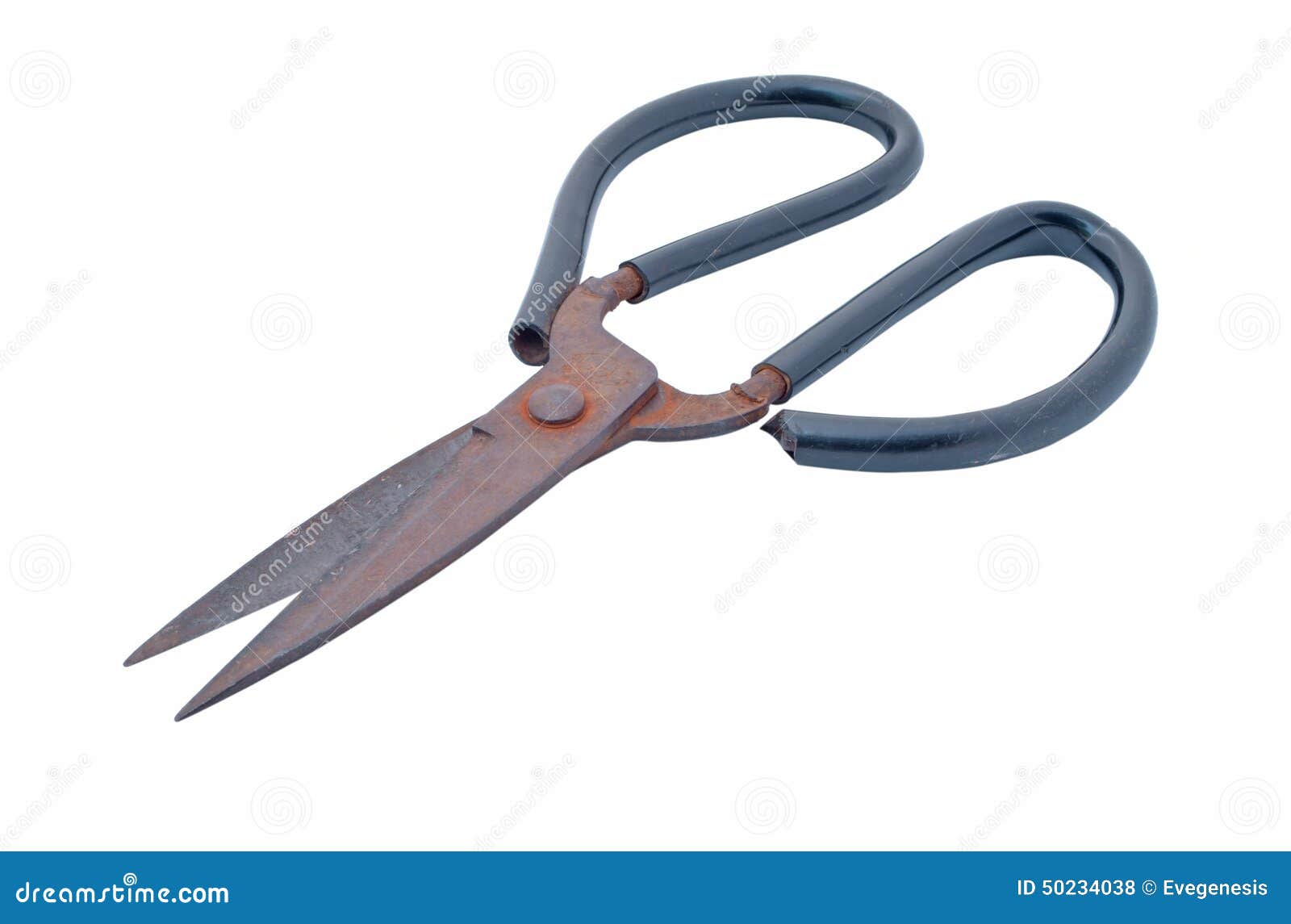 Old Rusty Sewing Scissors Isolated on White Stock Photo - Image of ...