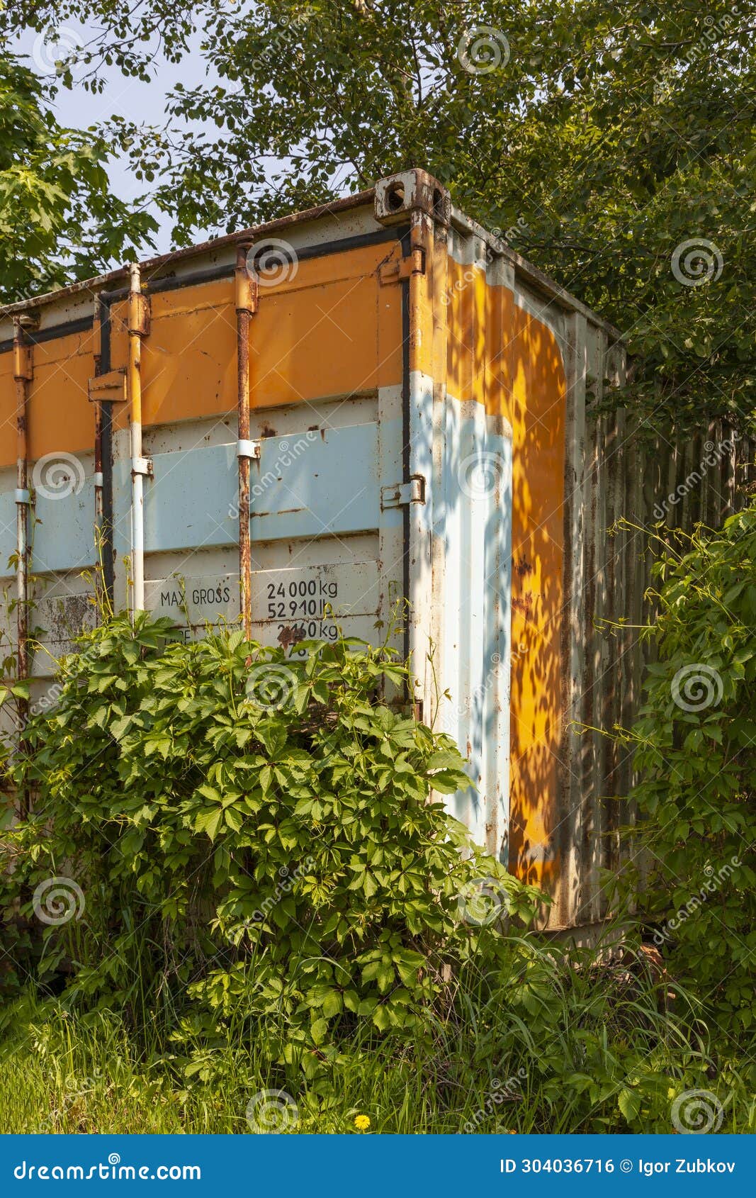 An Old Rusty Shipping Container Stands among the Trees Stock Photo ...