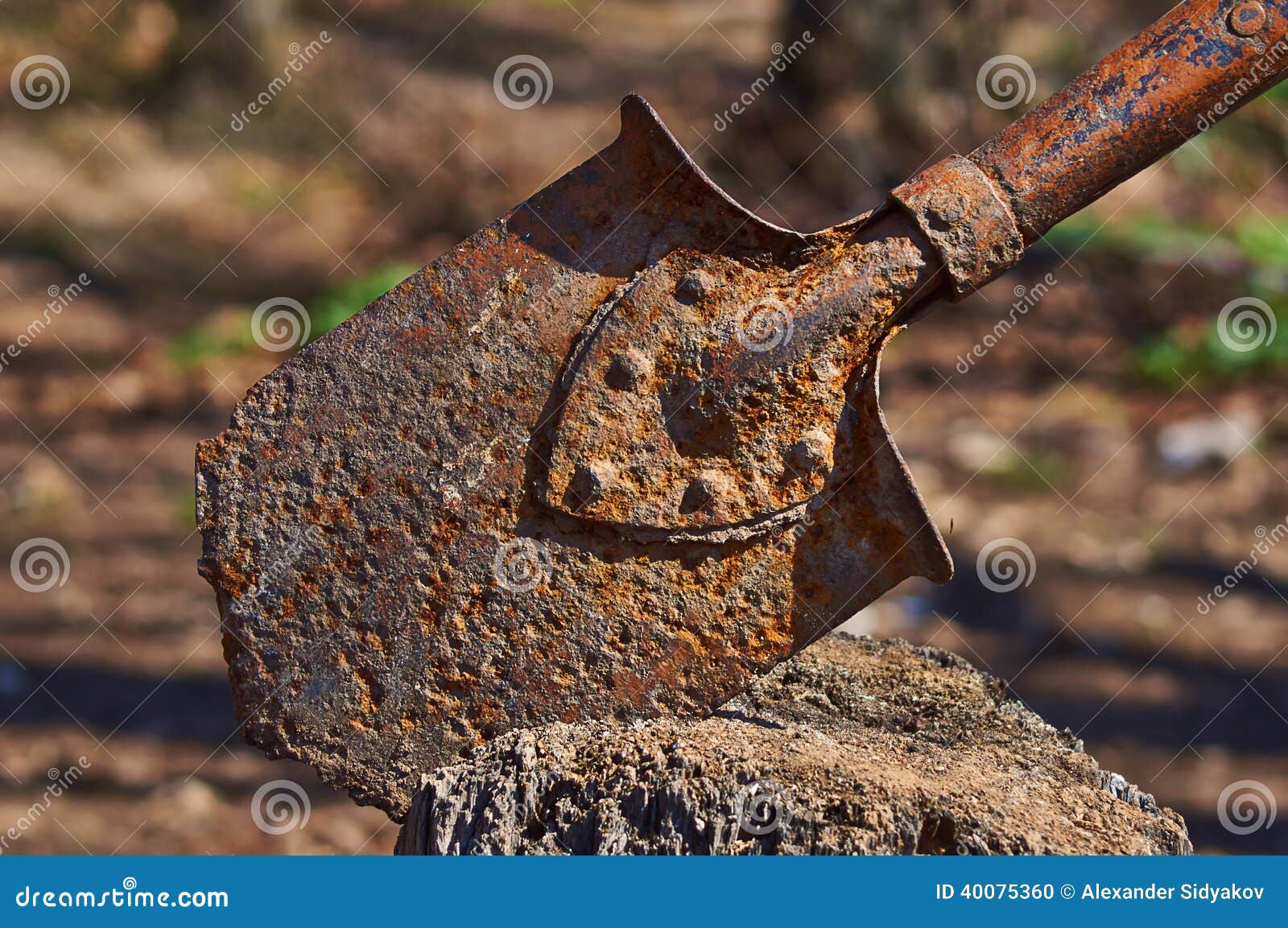 Old rusty shovel soldier . stock photo. Image of archaeology - 40075360