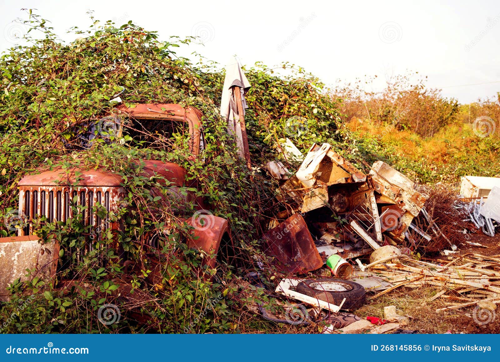 An Old Rusty Soviet Truck Overgrown with Ivy at a Scrap Metal and ...