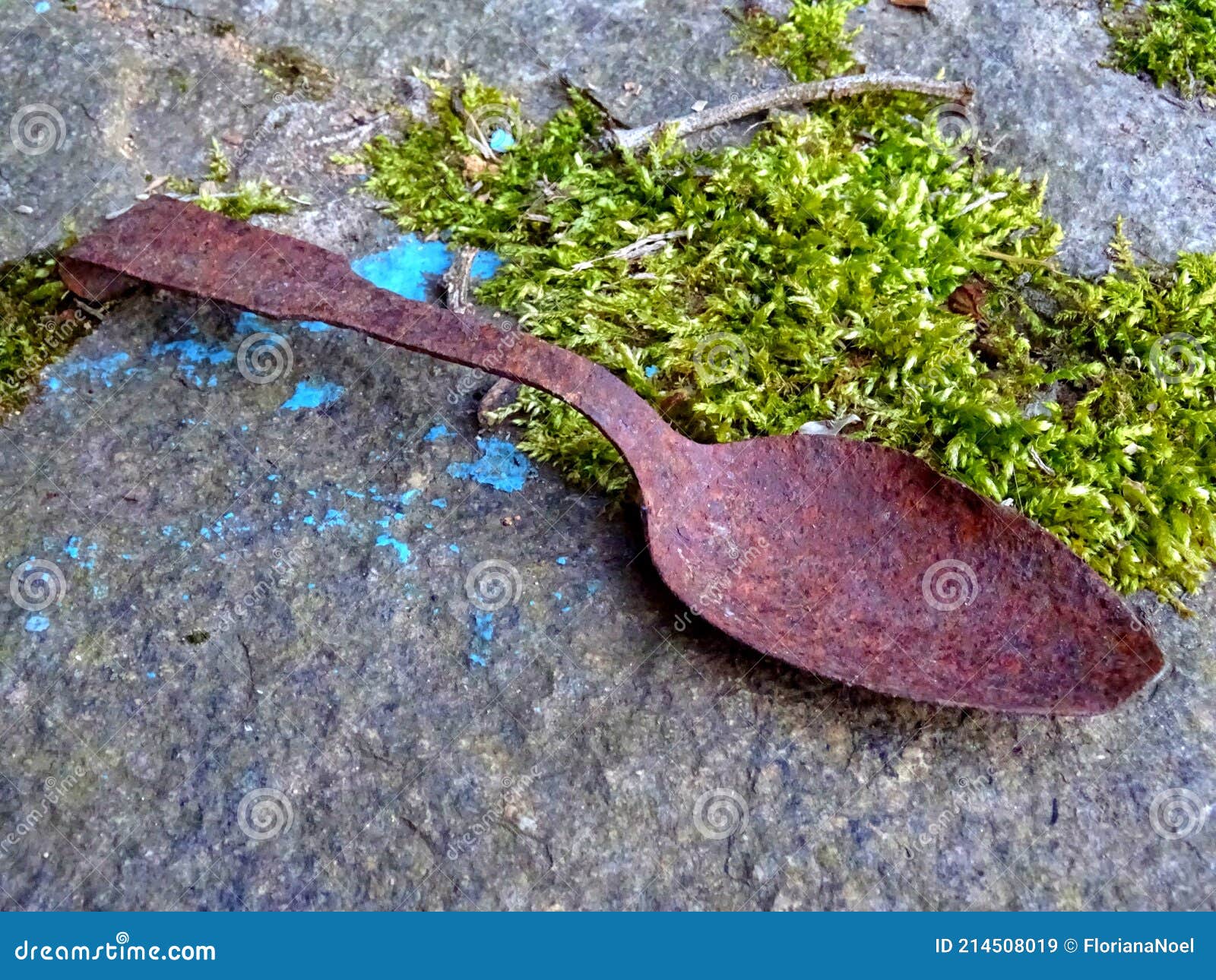 An old rusty spoon stock image. Image of brown, moss - 214508019
