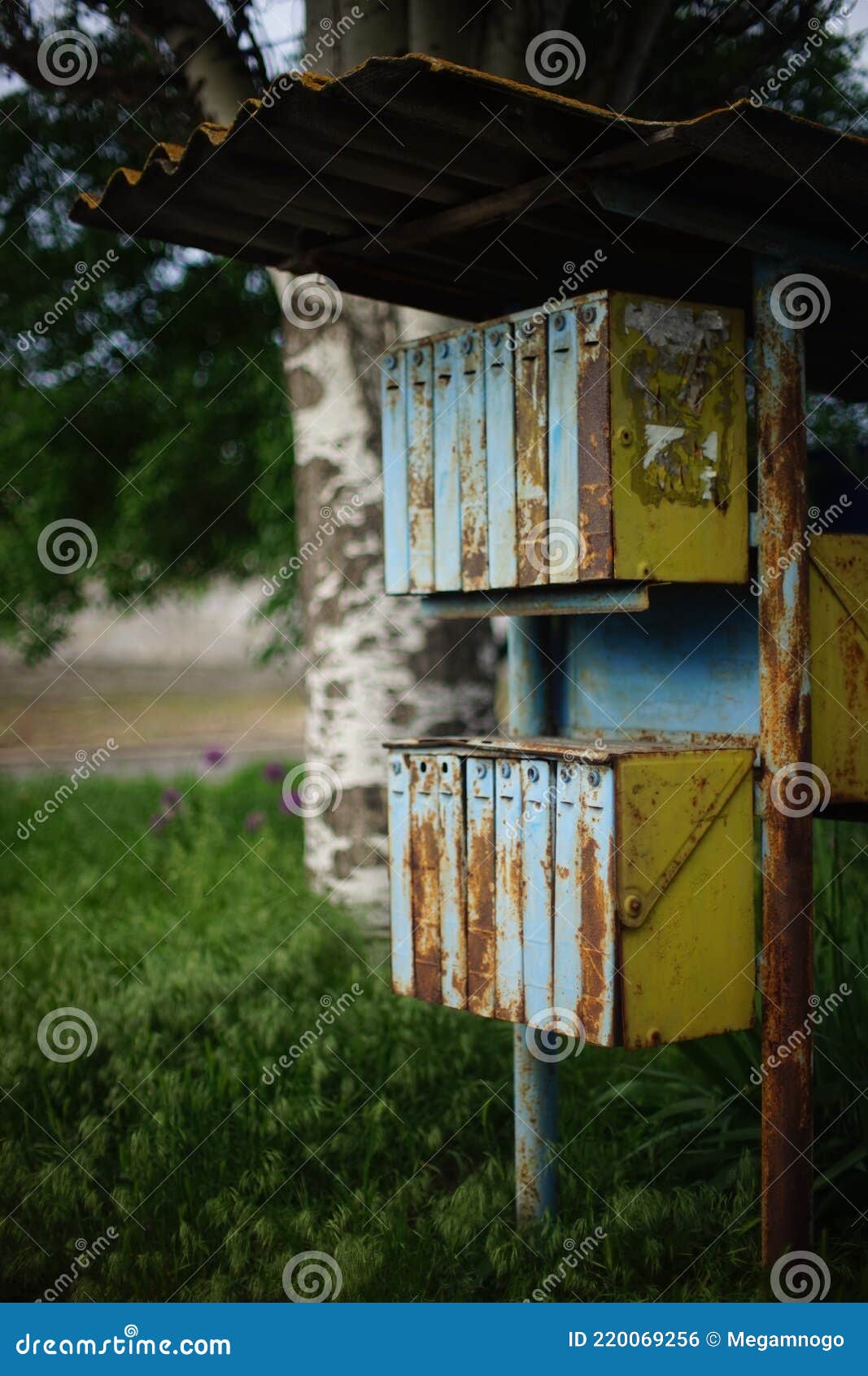 Old Rusty Street Mailbox with Many Cells among Green Grass and T Stock ...