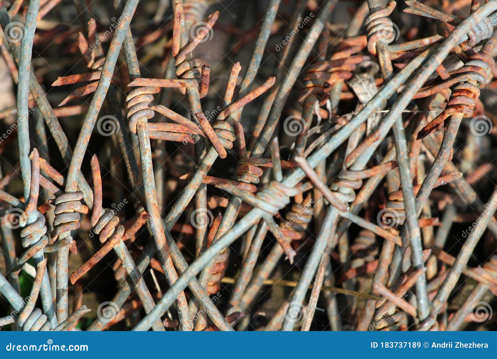 Old Rusty Tangled Barbed Wire Stock Image - Image of rusty, rust: 183737189