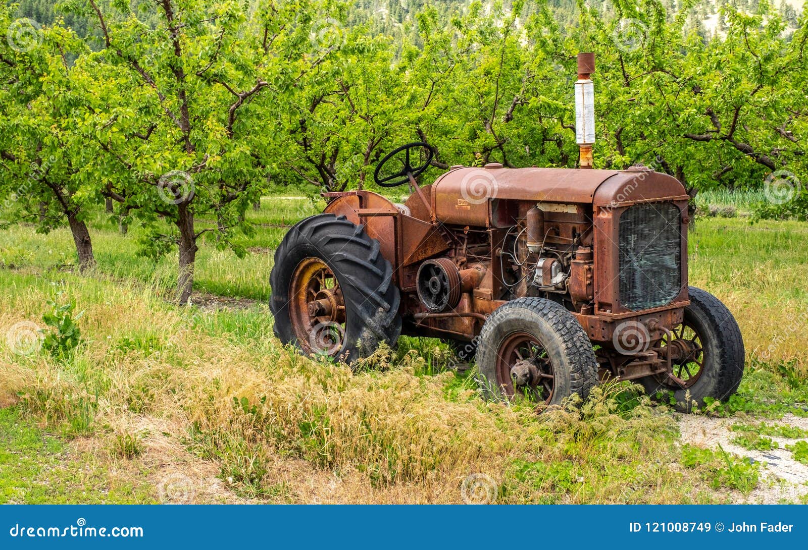 Old Rusty Tractor in an Orchard Stock Image - Image of agriculture ...