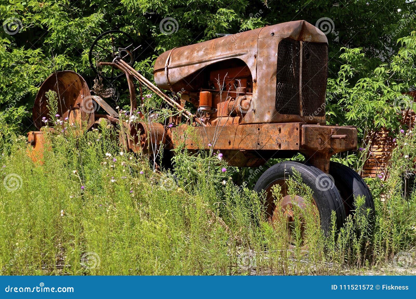 Old Rusty Tractor Surrounded by Weeds Stock Photo - Image of horse ...
