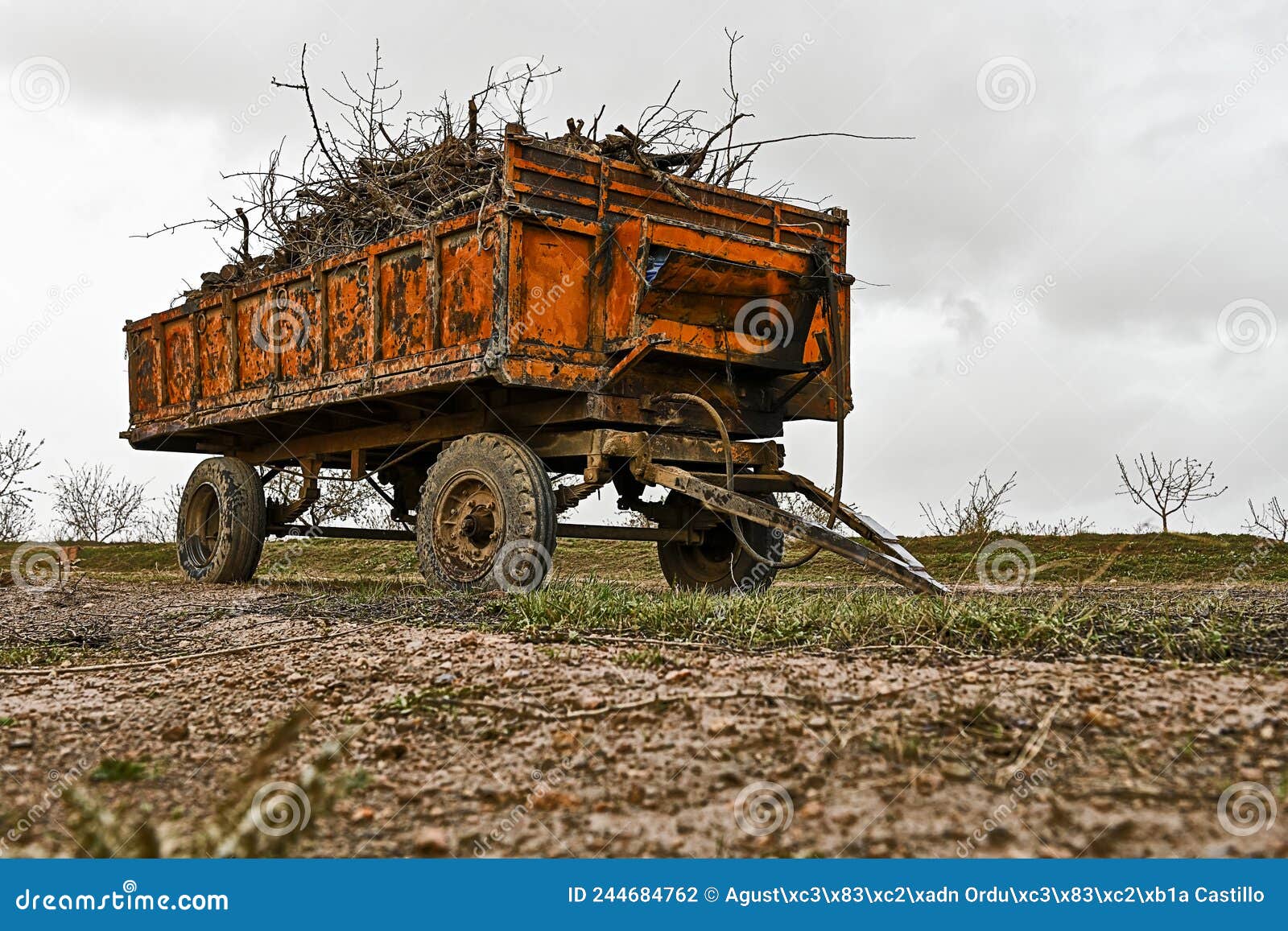 Old Rusty Trailer, Full of Firewood Stock Photo - Image of transport ...