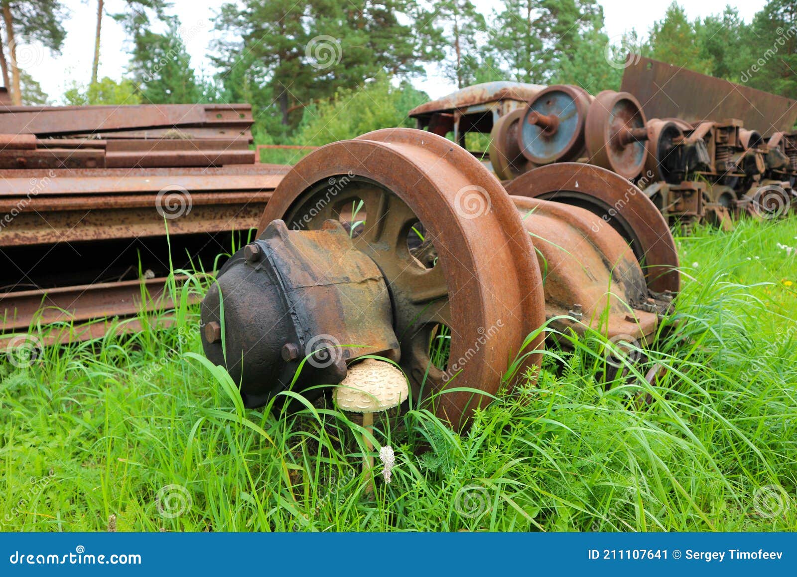 Old Rusty Train Wheels on Abandoned Railway in the Grass Stock Image ...