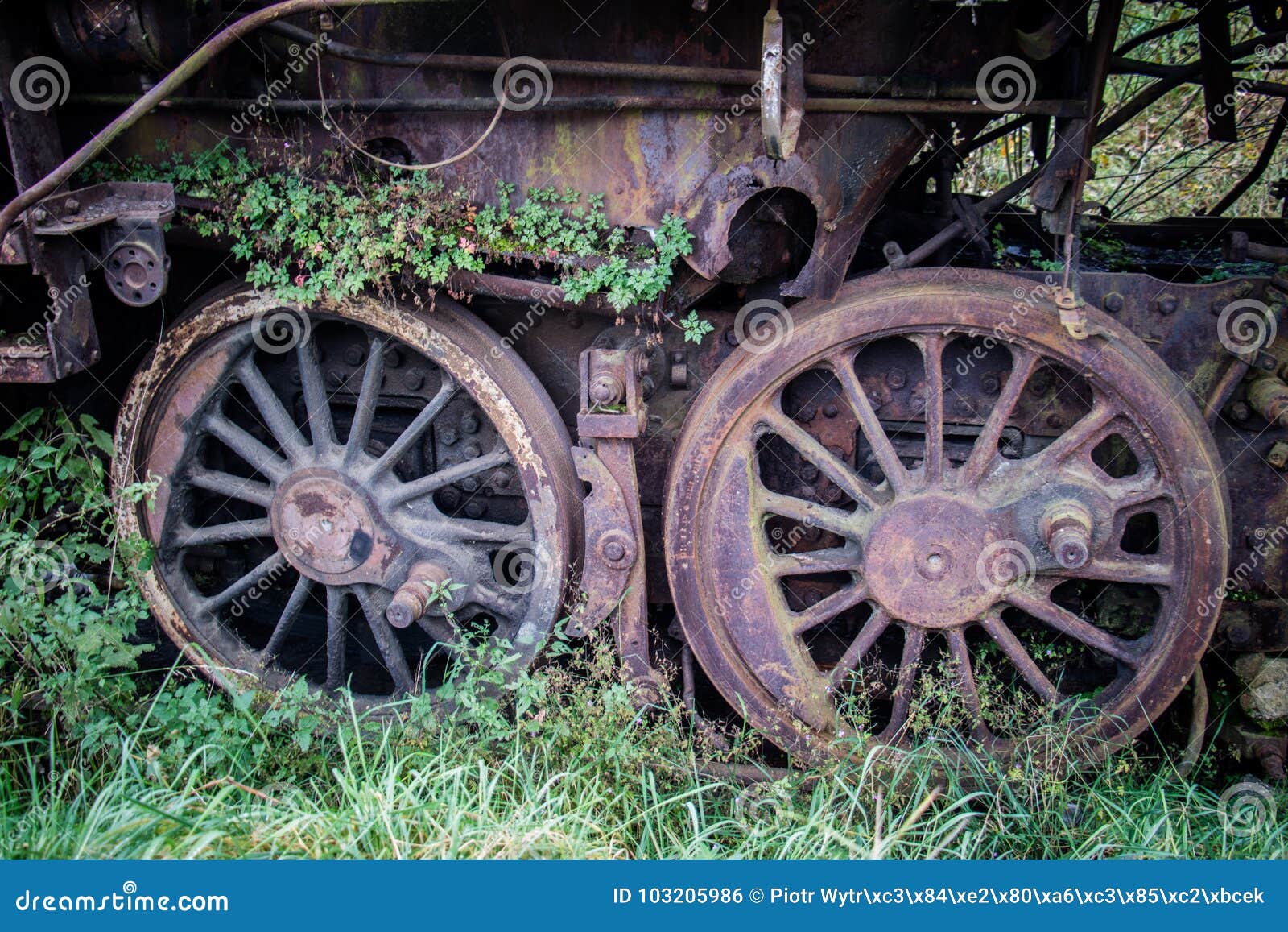 Old Rusty Trains. Old Abandoned Track, Siding with Dirty Old Trains ...