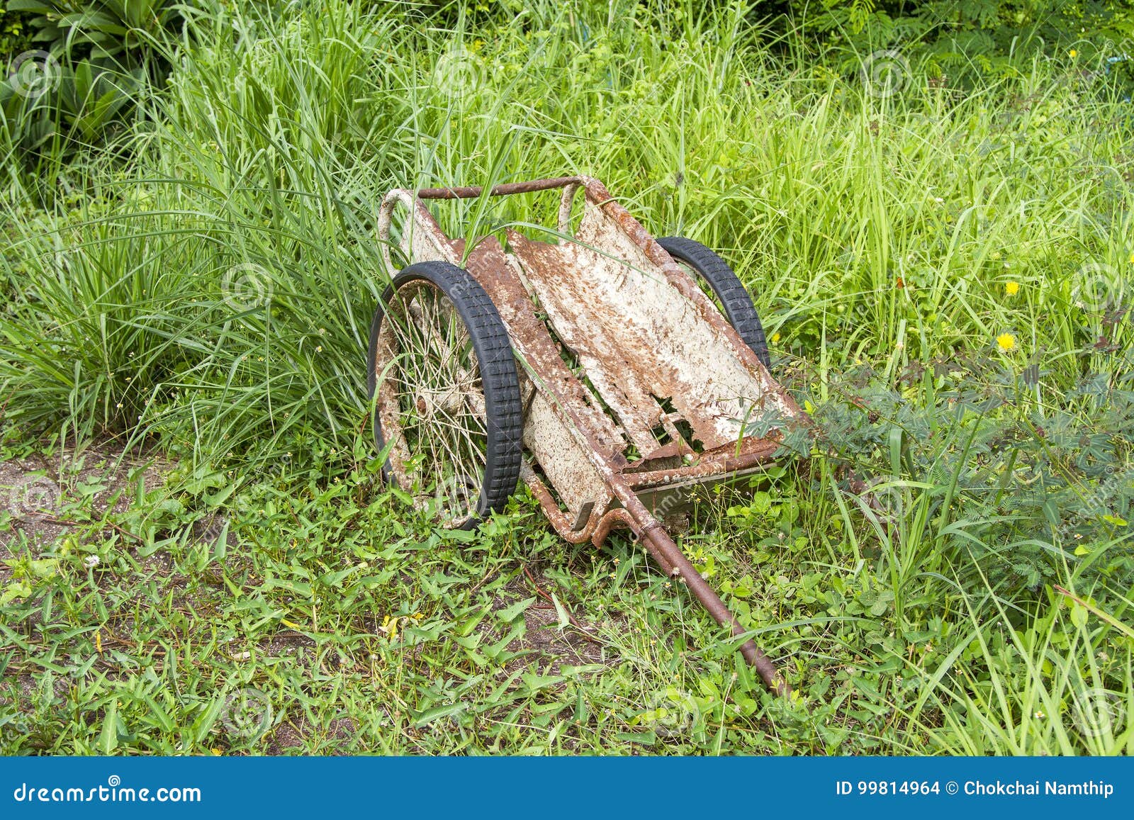 Old Rusty Trolley is in the Grass Forest Stock Photo - Image of ...