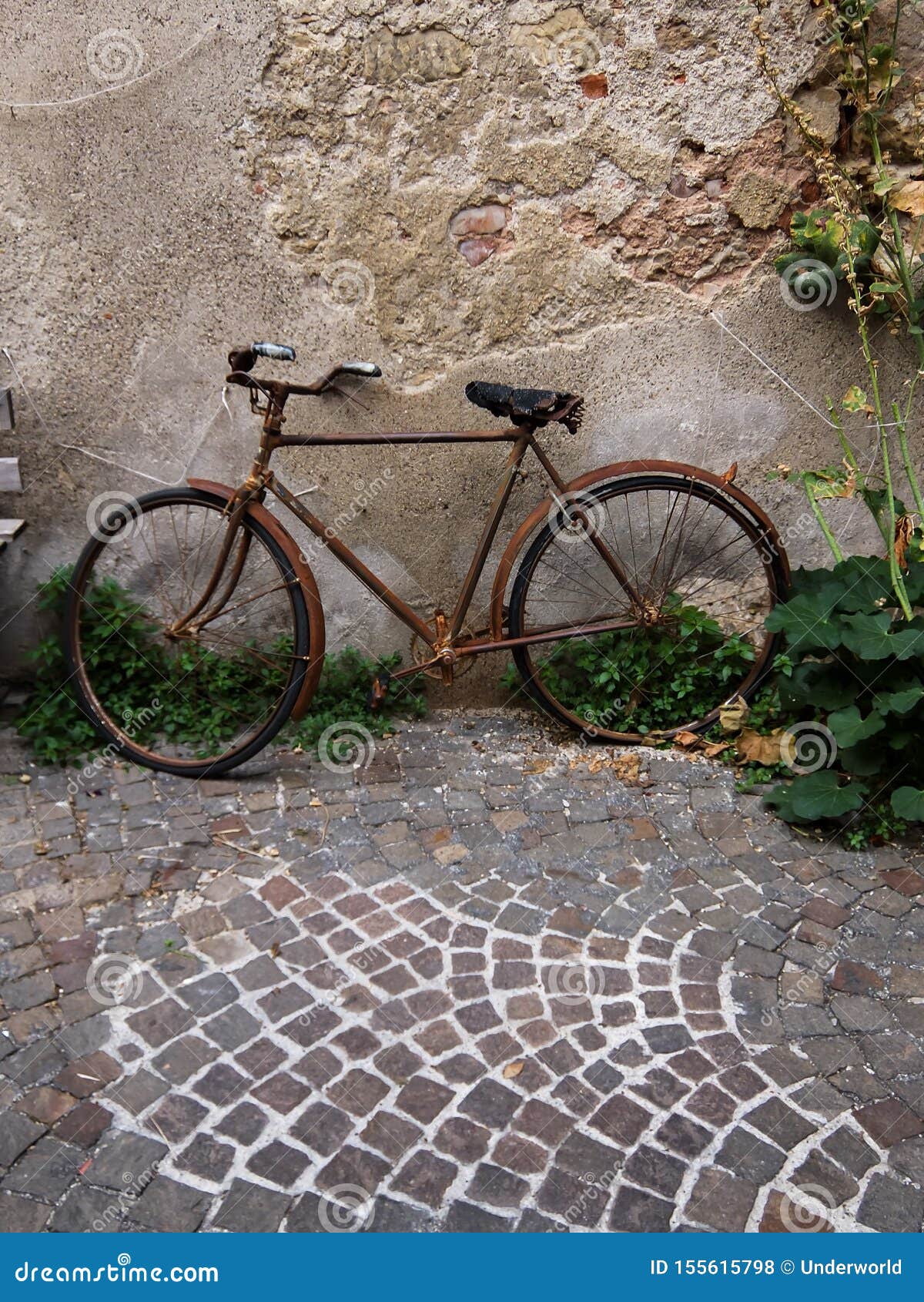 Old rusty vintage bicycle stock photo. Image of white - 155615798