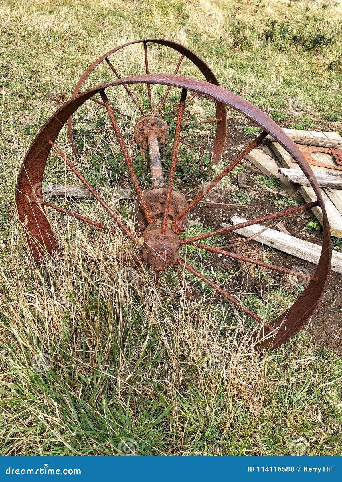 Old and Rusty Wagon Wheels in Grassland Stock Photo - Image of travel ...