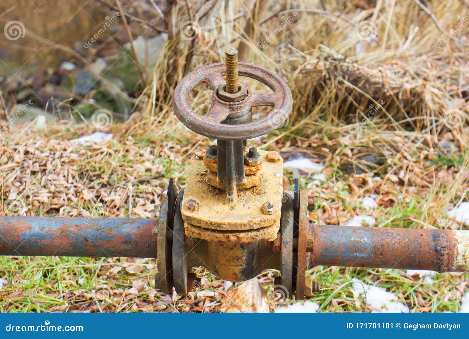 The Old Rusty Water Tap in Garden Stock Image - Image of japan, corona ...