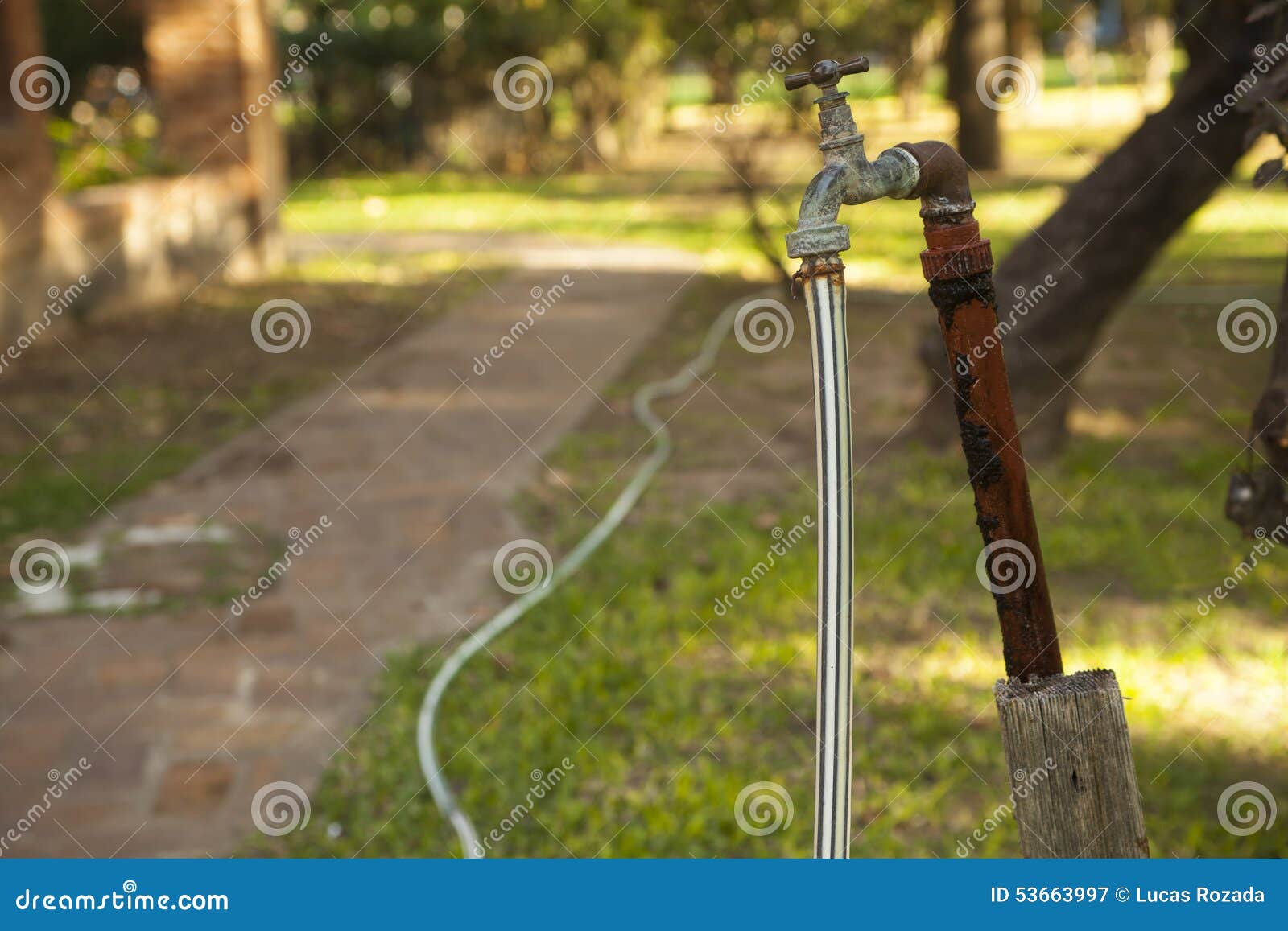 Old Rusty Water Tap with Hose in Garden Stock Image - Image of outside ...