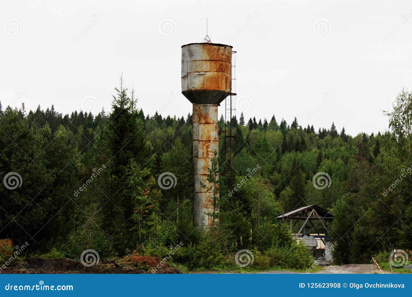 The Old Rusty Water Tower with a Staircase Stands Near the Forest Stock ...