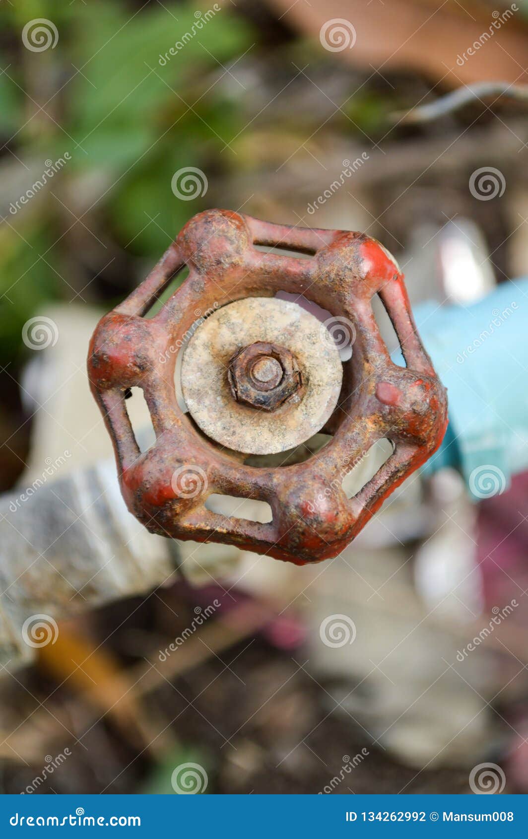 Old Rusty Water Valve in Garden Stock Photo - Image of tube, garden ...