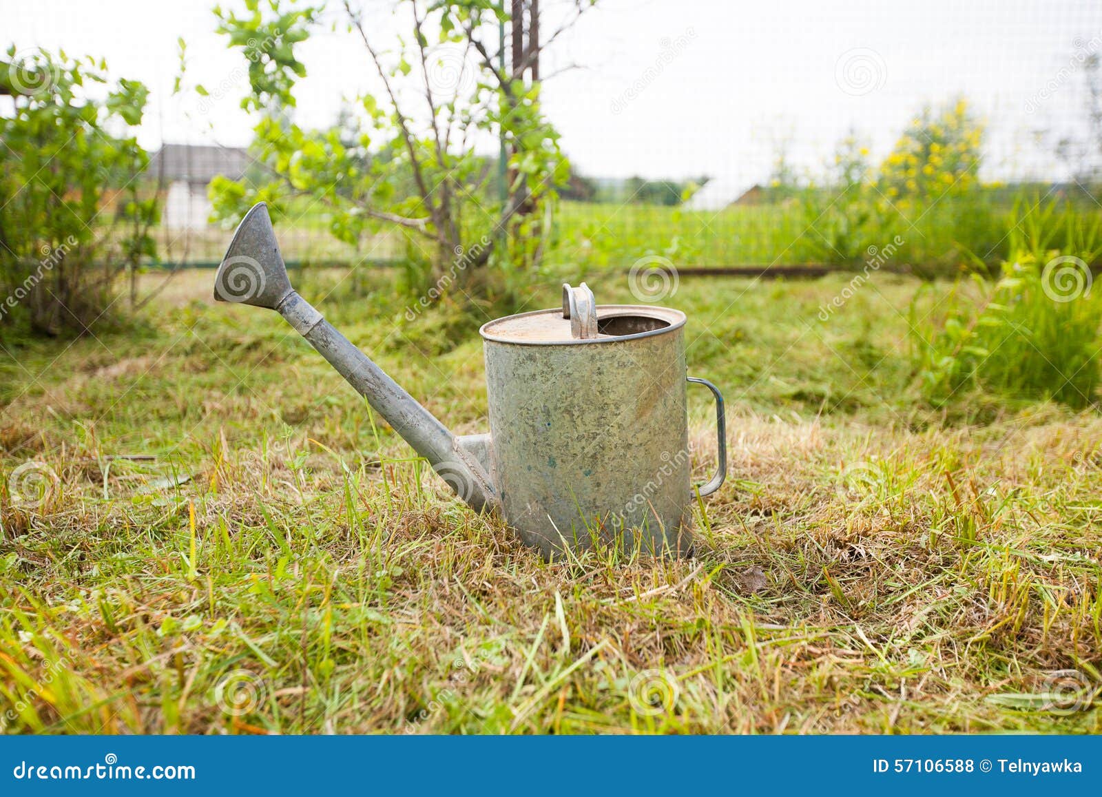 Old, Rusty Watering Can Standing on Grass Stock Photo - Image of grow ...