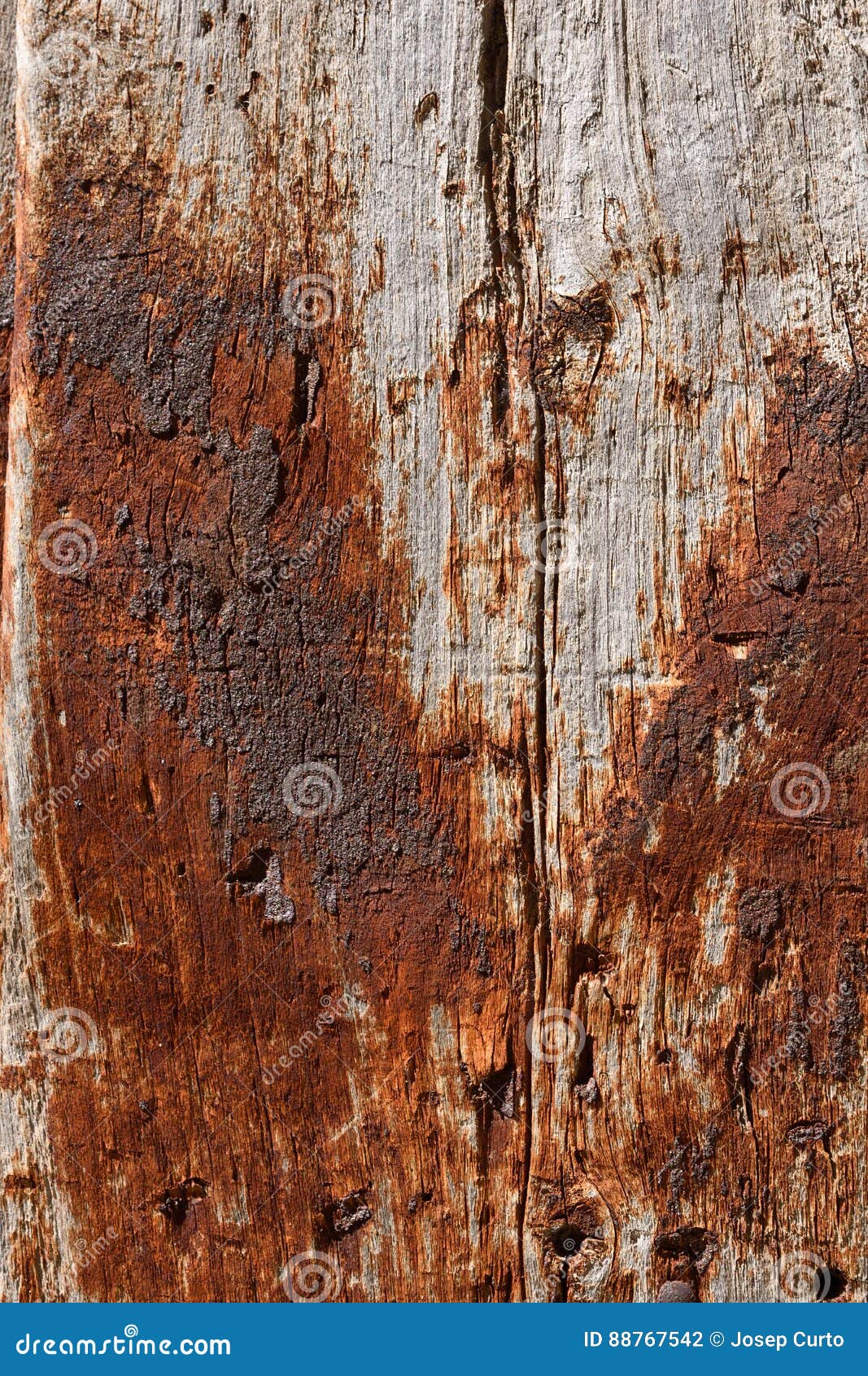 Old rusty wood stock photo. Image of pattern, detail - 88767542