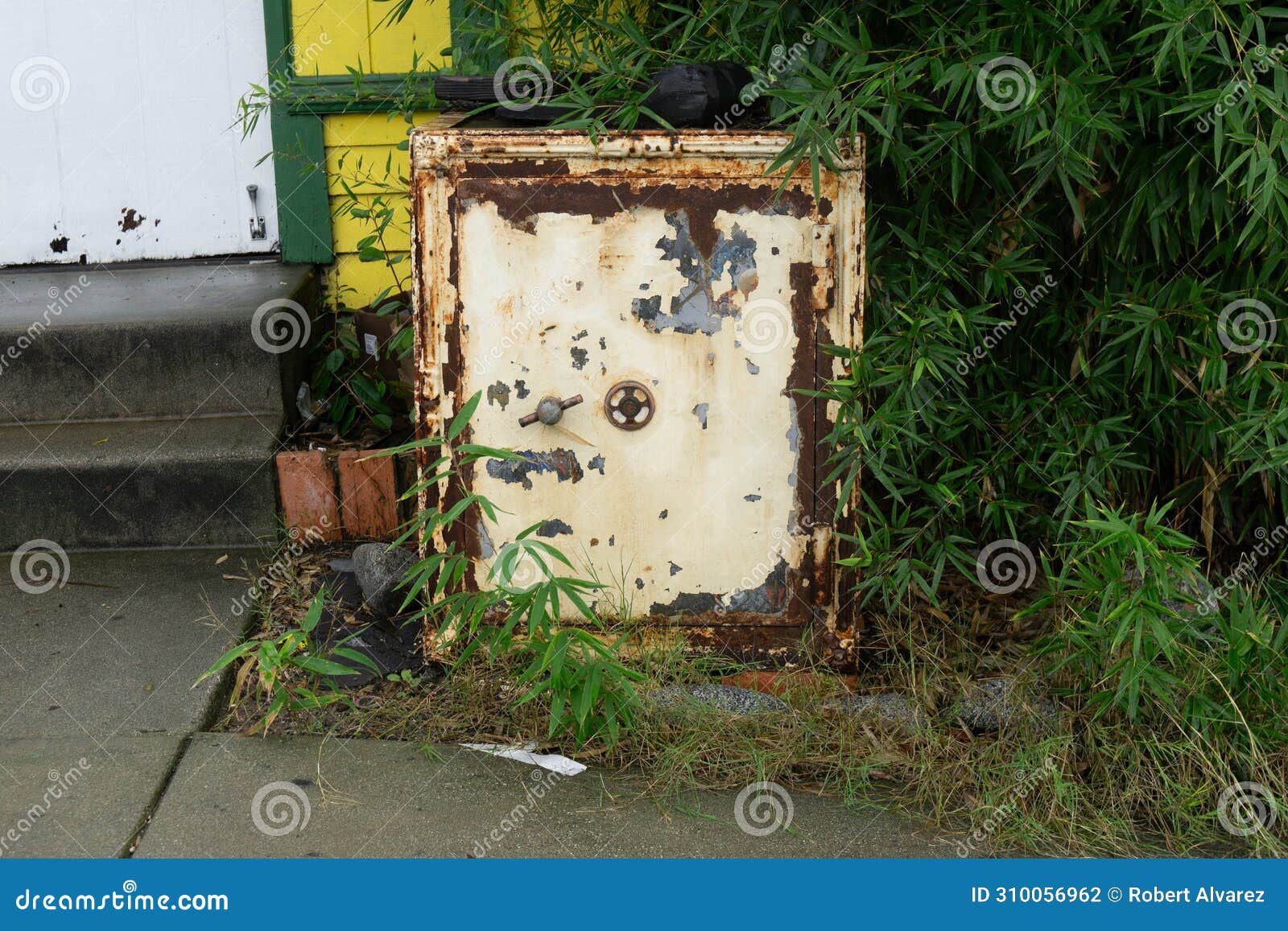 A Rusty Old Safe Sits on the Side of Building Over Grown by Plants ...
