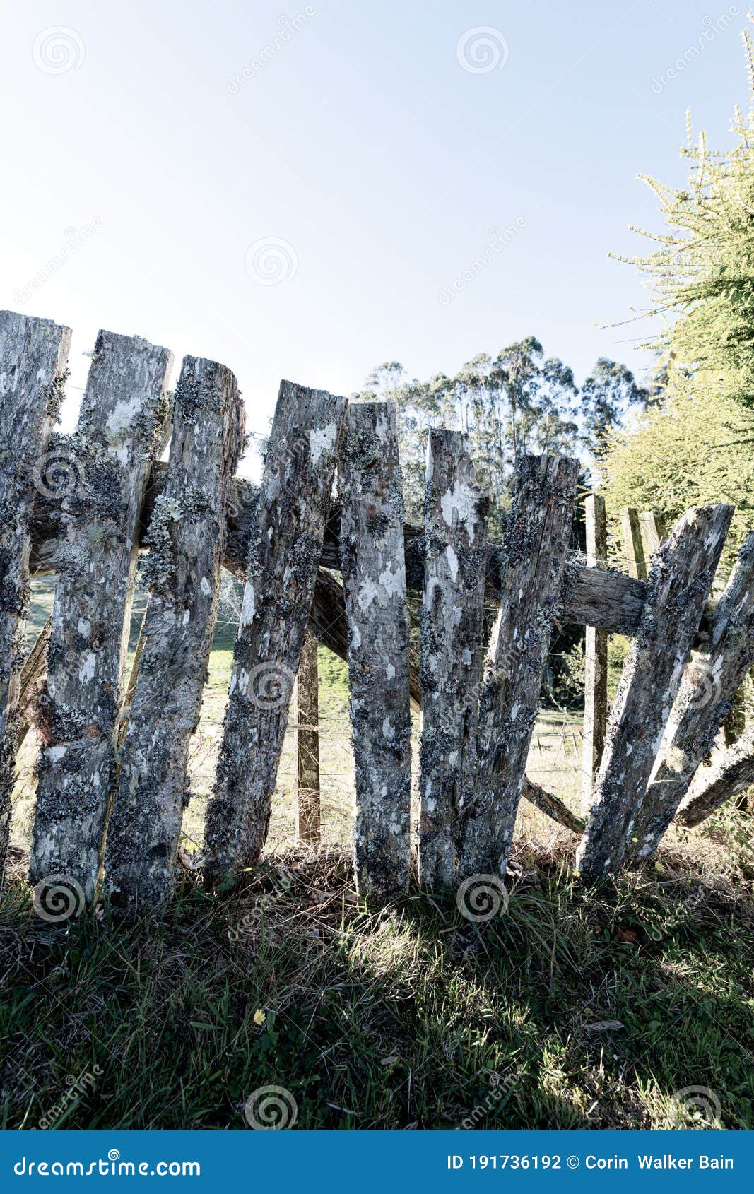 Old sagging wooden fence stock photo. Image of green - 191736192