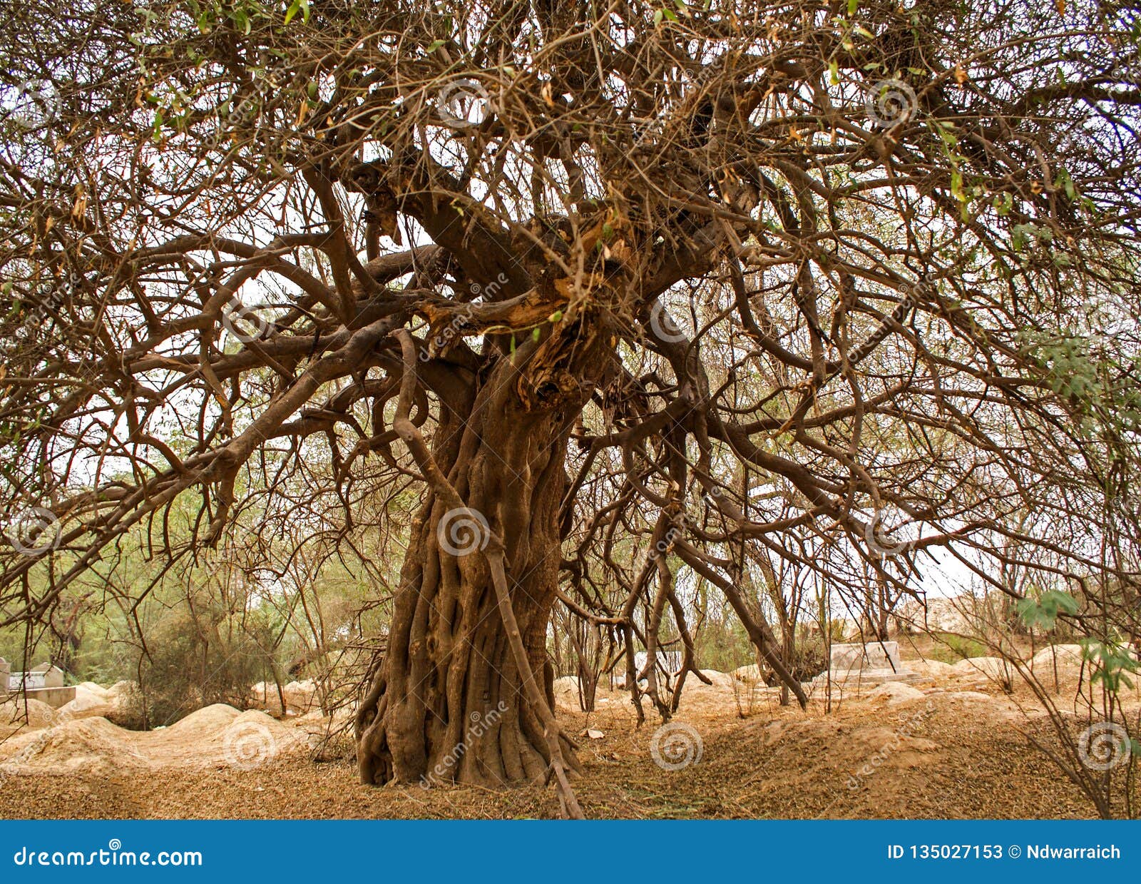 Harrapa Civilization Stock Photos - Free & Royalty-Free Stock Photos ...