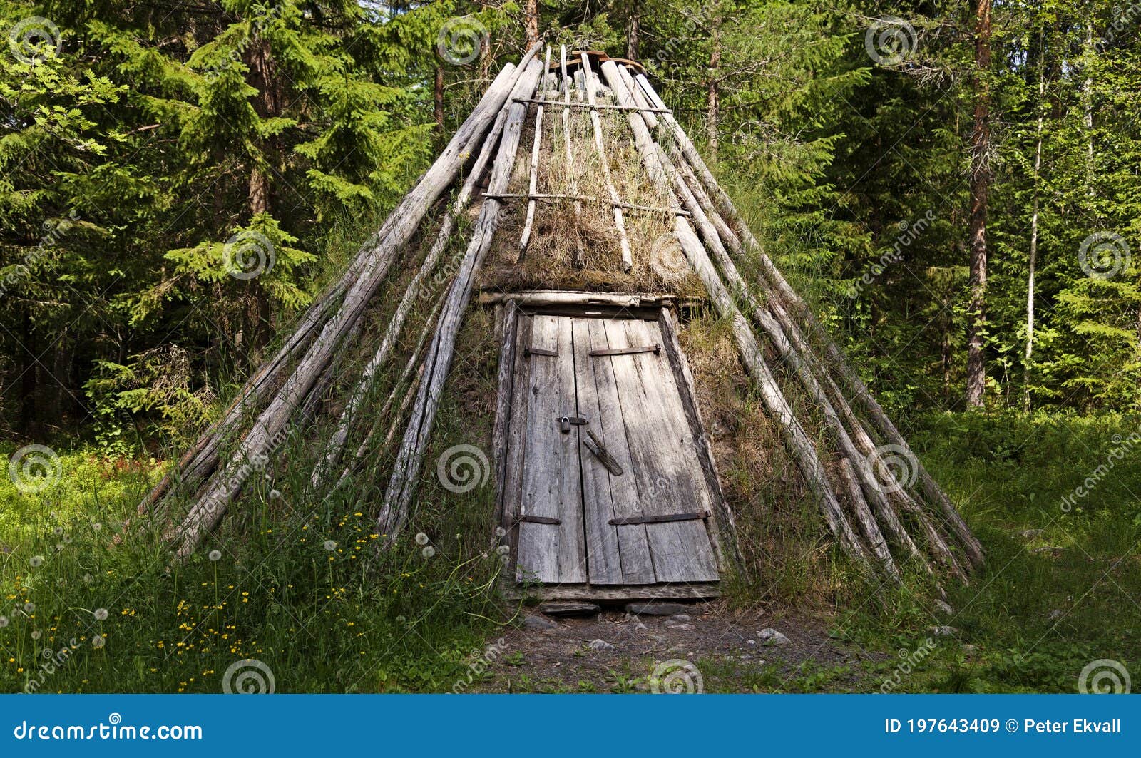 An Old Sami Building Made of Wood and Moss Stock Image - Image of ...