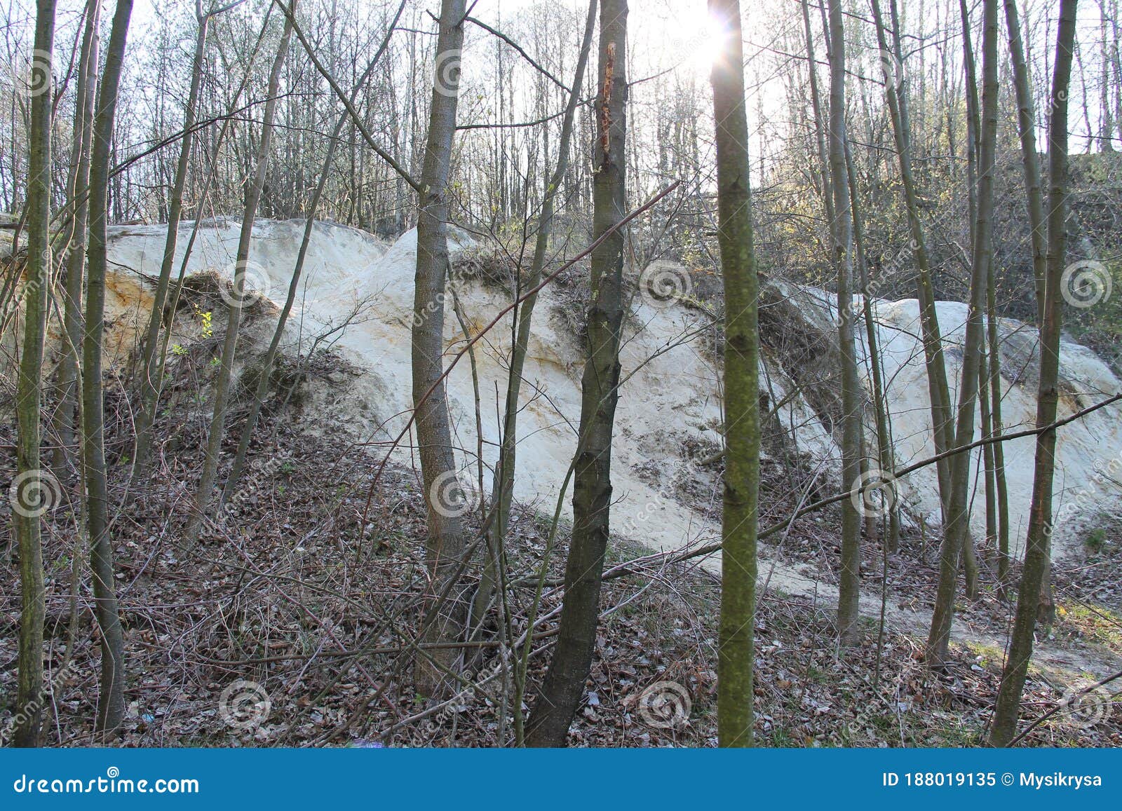 Old sand pit stock image. Image of sand, geology, environmental - 188019135