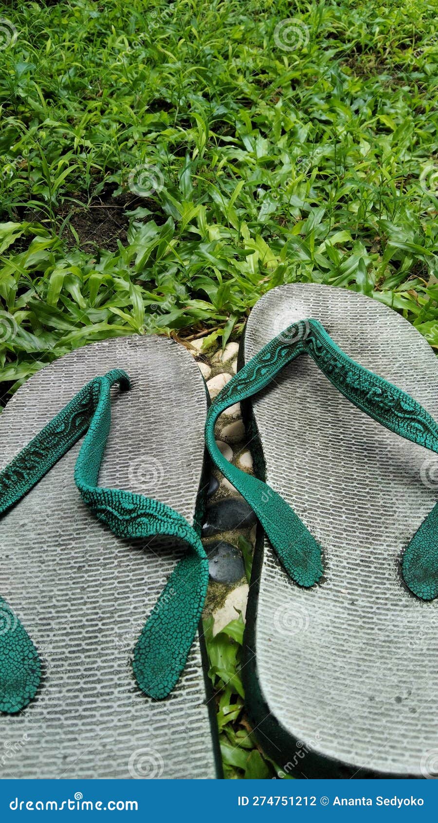 Old Sandals on the Green Grass Stock Photo - Image of texture, green ...