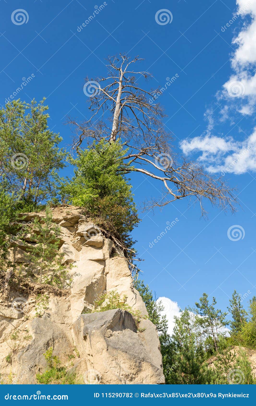 An Old Sandstone Quarry Covered with Trees Stock Photo - Image of ...