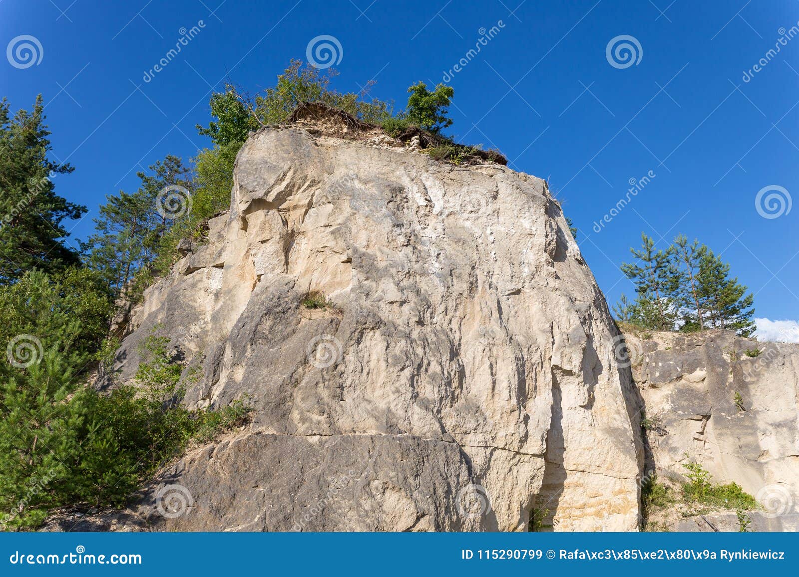 An Old Sandstone Quarry Covered with Trees Stock Image - Image of ...