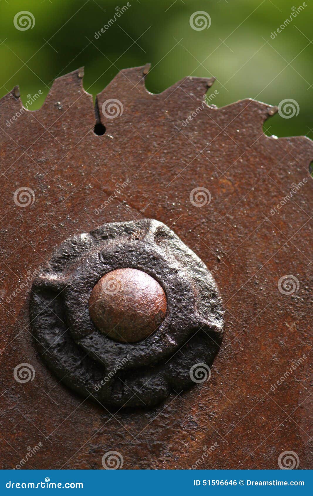 Old saw blade stock photo. Image of green, blade, metal - 51596646