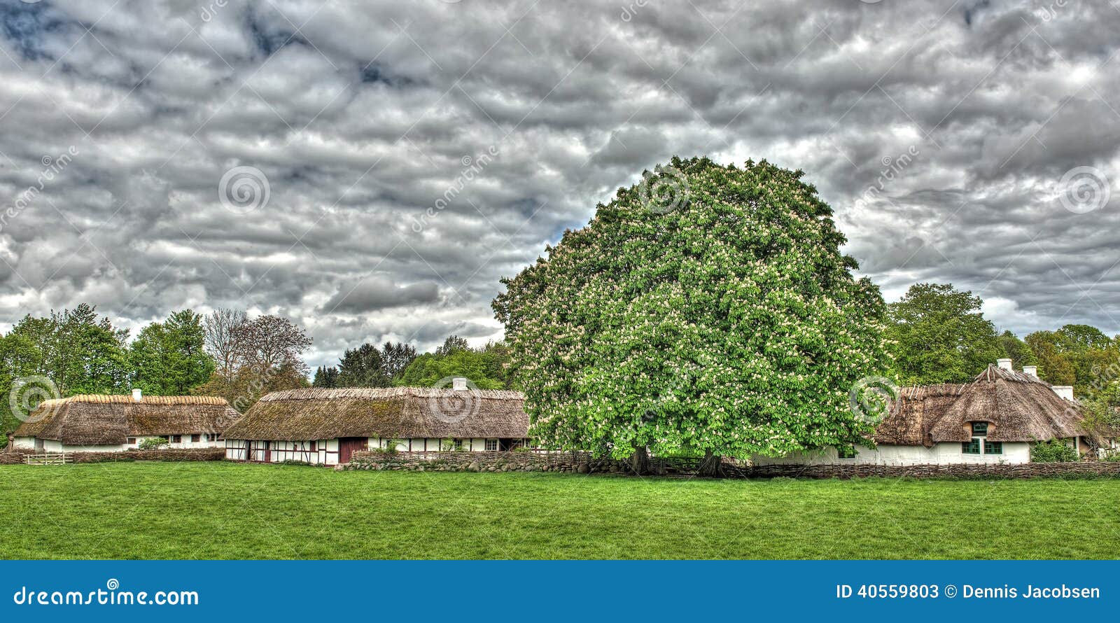 Old Scandinavian Farm in HDR Stock Image - Image of architecture ...