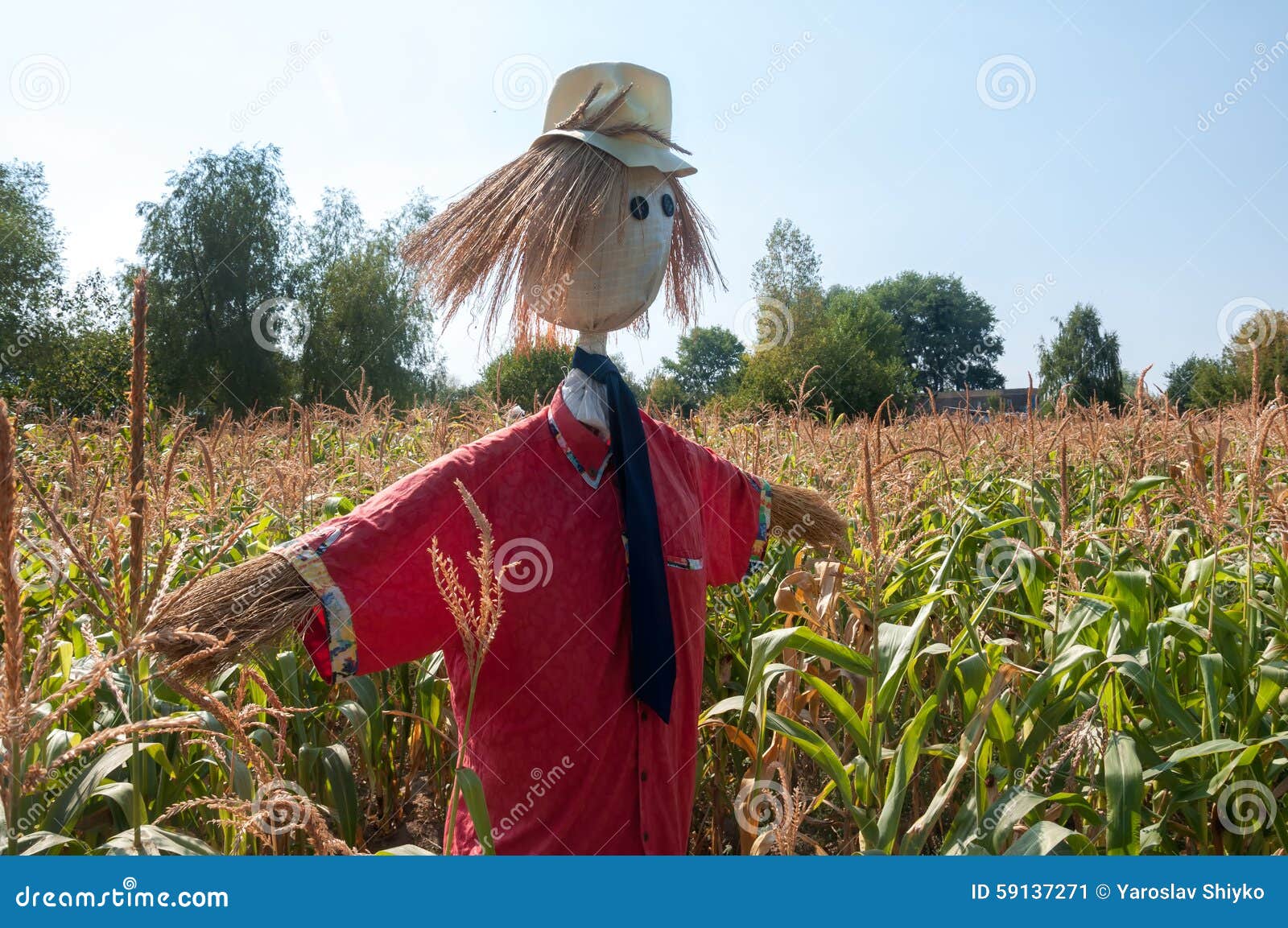 Old Scarecrow in a Cornfield, Made Form Straw and Clothing Stock Image ...