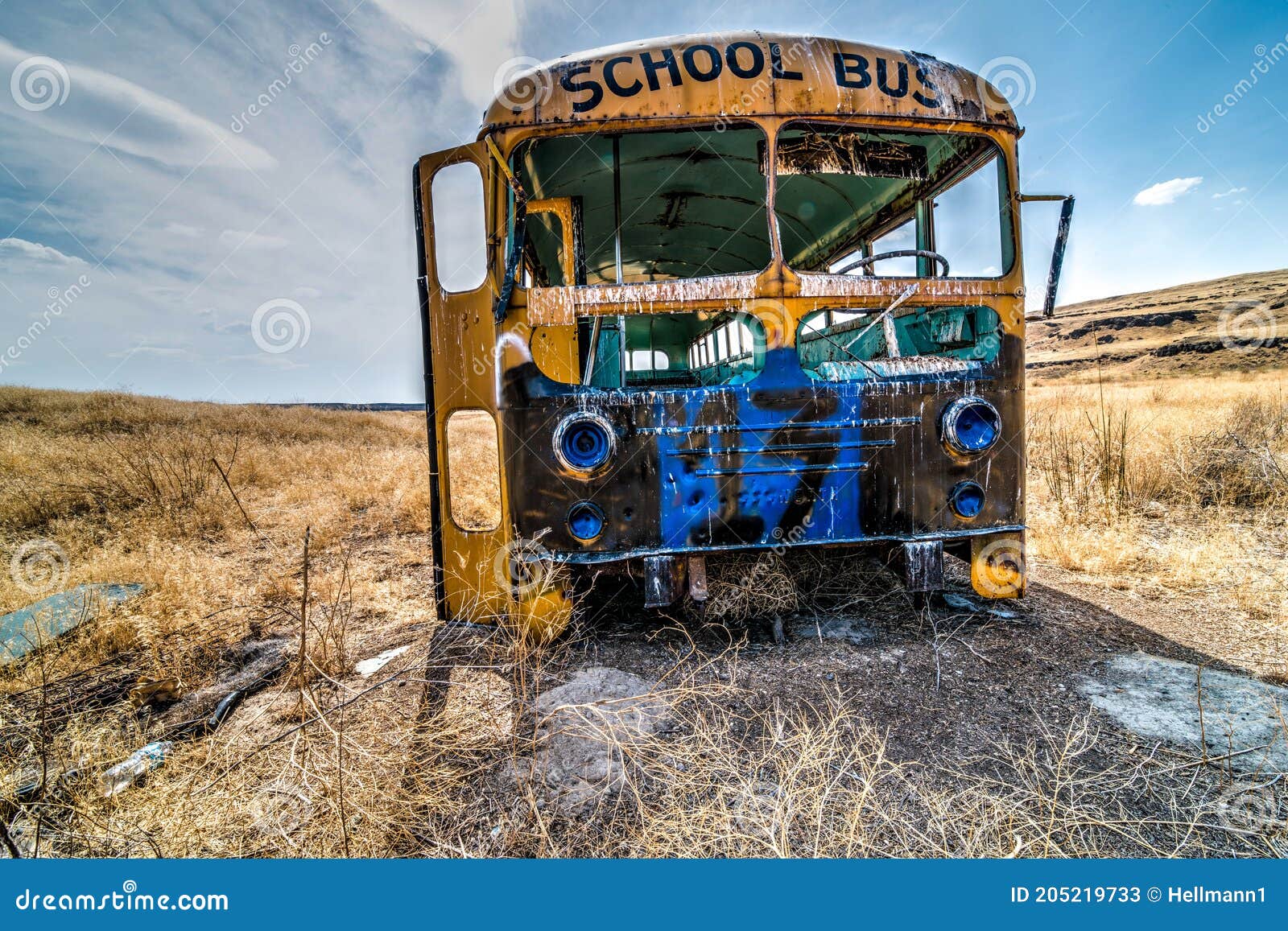 Old School Bus stock image. Image of nature, forest - 205219733