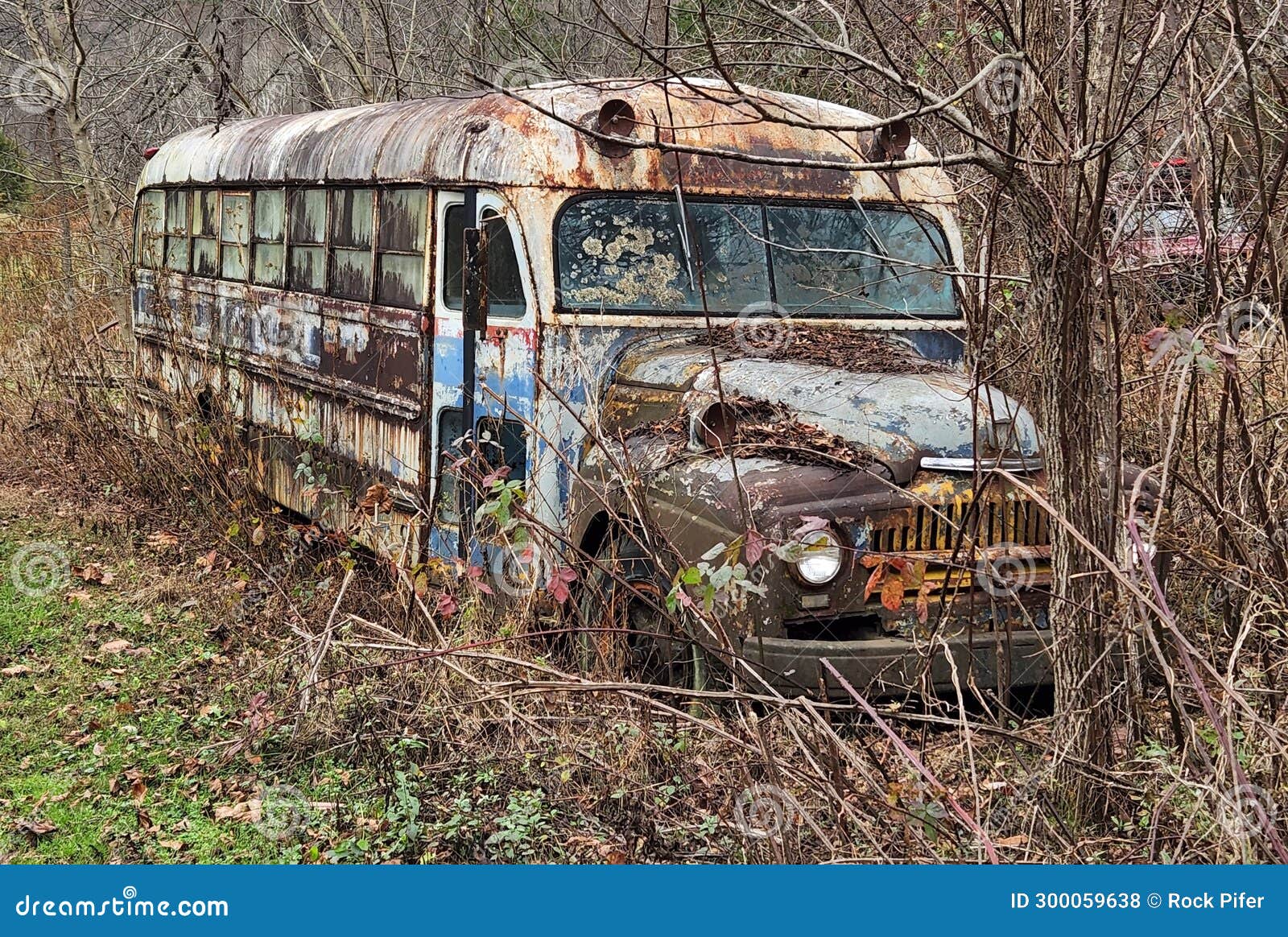 Old School Bus Rusting Away Stock Photo - Image of retro, woods: 300059638