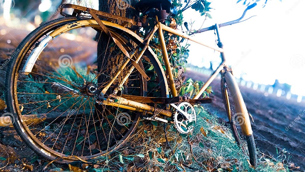 Old school cycle stock photo. Image of cycle, flower - 182361870