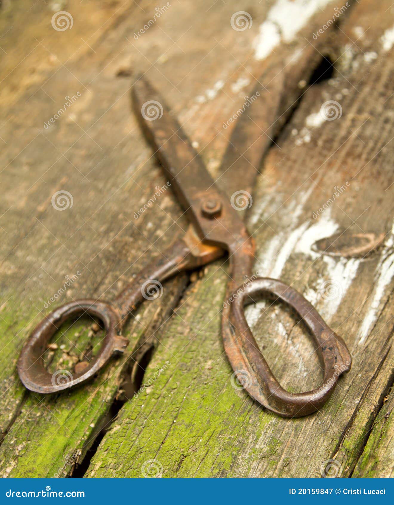 Old scissors stock image. Image of green, fashioned, open - 20159847