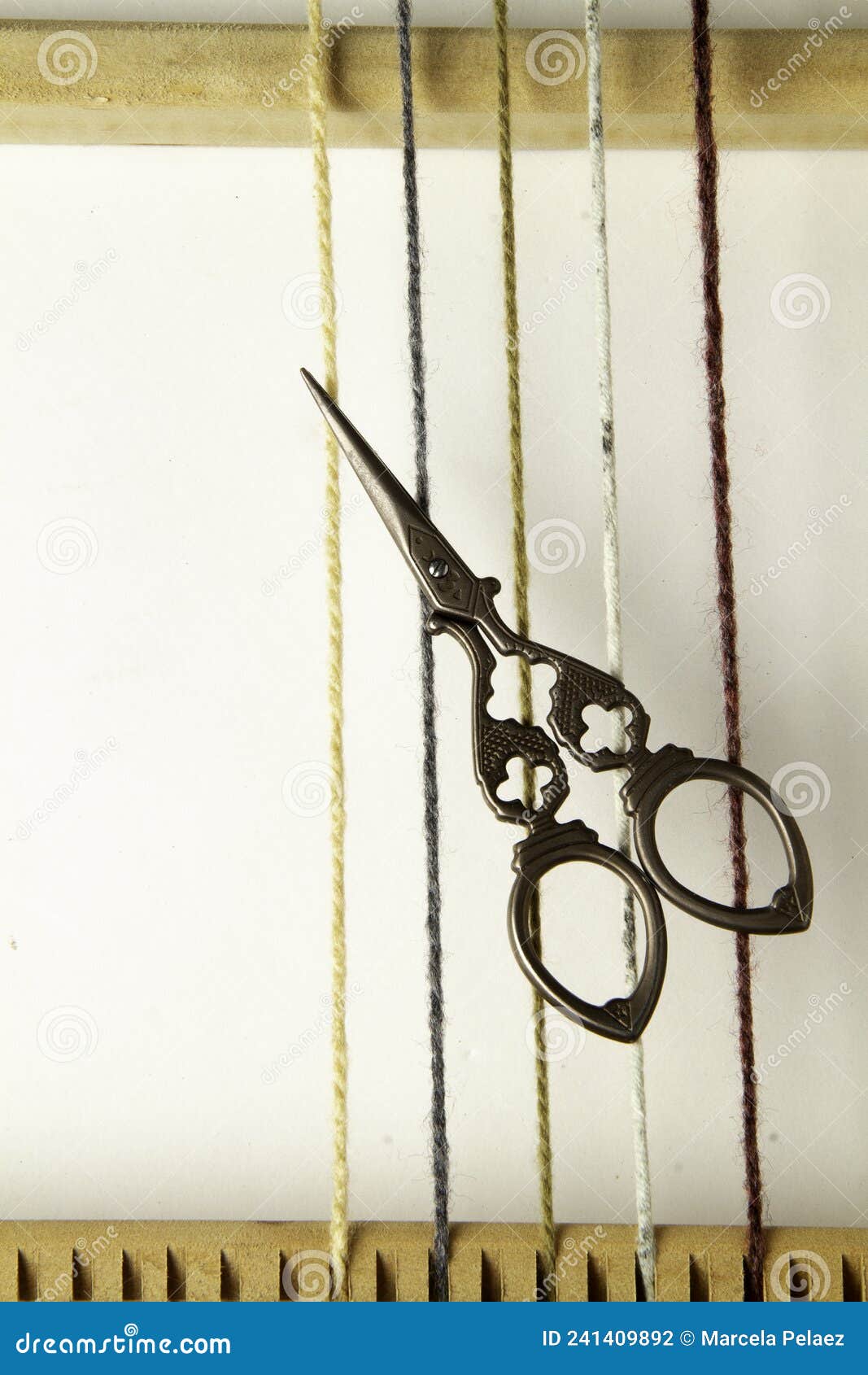 Old Scissors on Stretched Colored Wool Strands Stock Photo - Image of ...