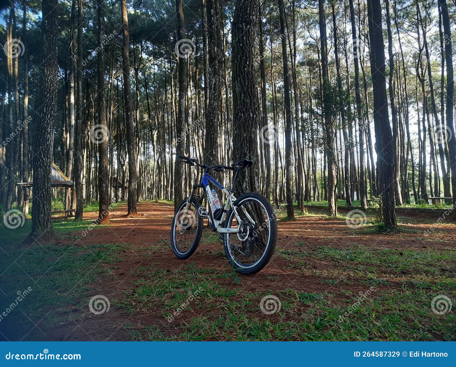 Old scoot bike editorial stock image. Image of woodland - 264587329