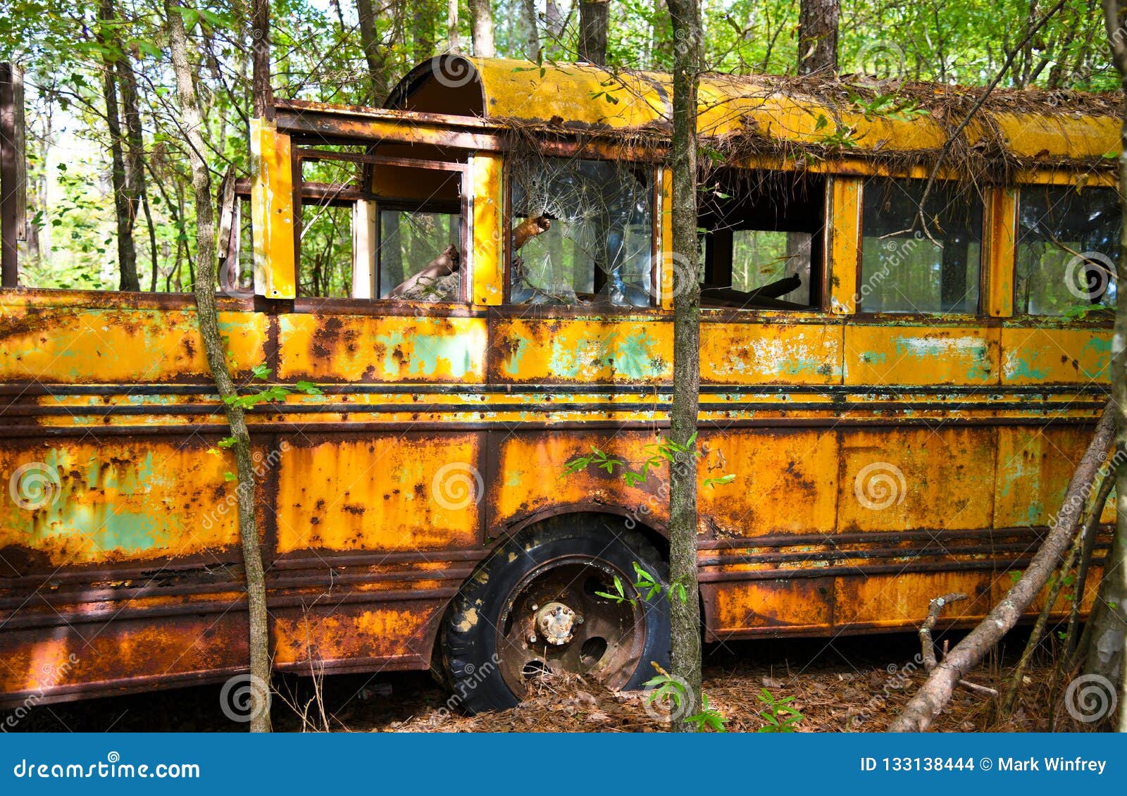 Old Scrap School Bus stock photo. Image of retro, school - 133138444