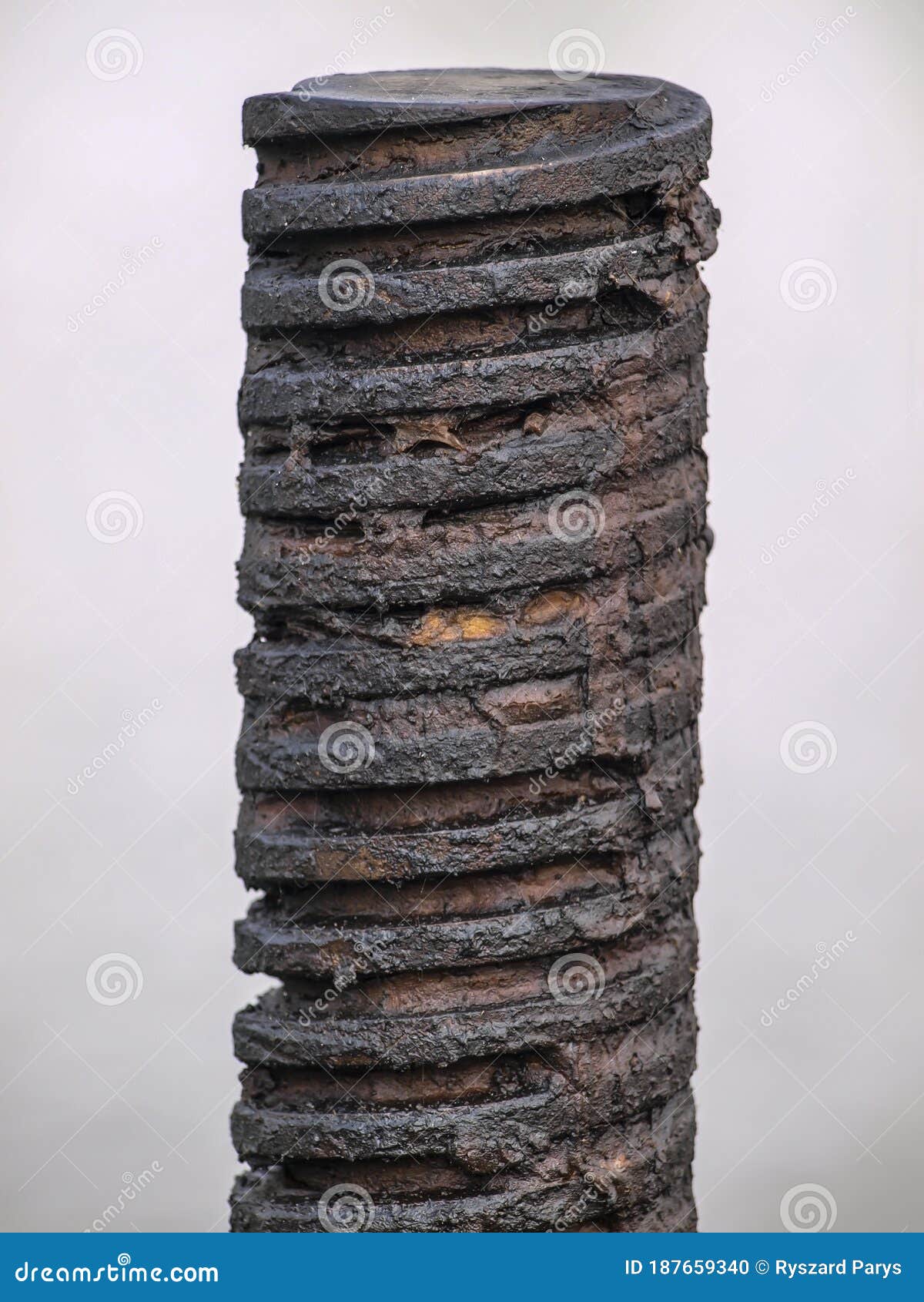 Preserved with a Thick Layer of Grease at the Slide Opening the Water ...