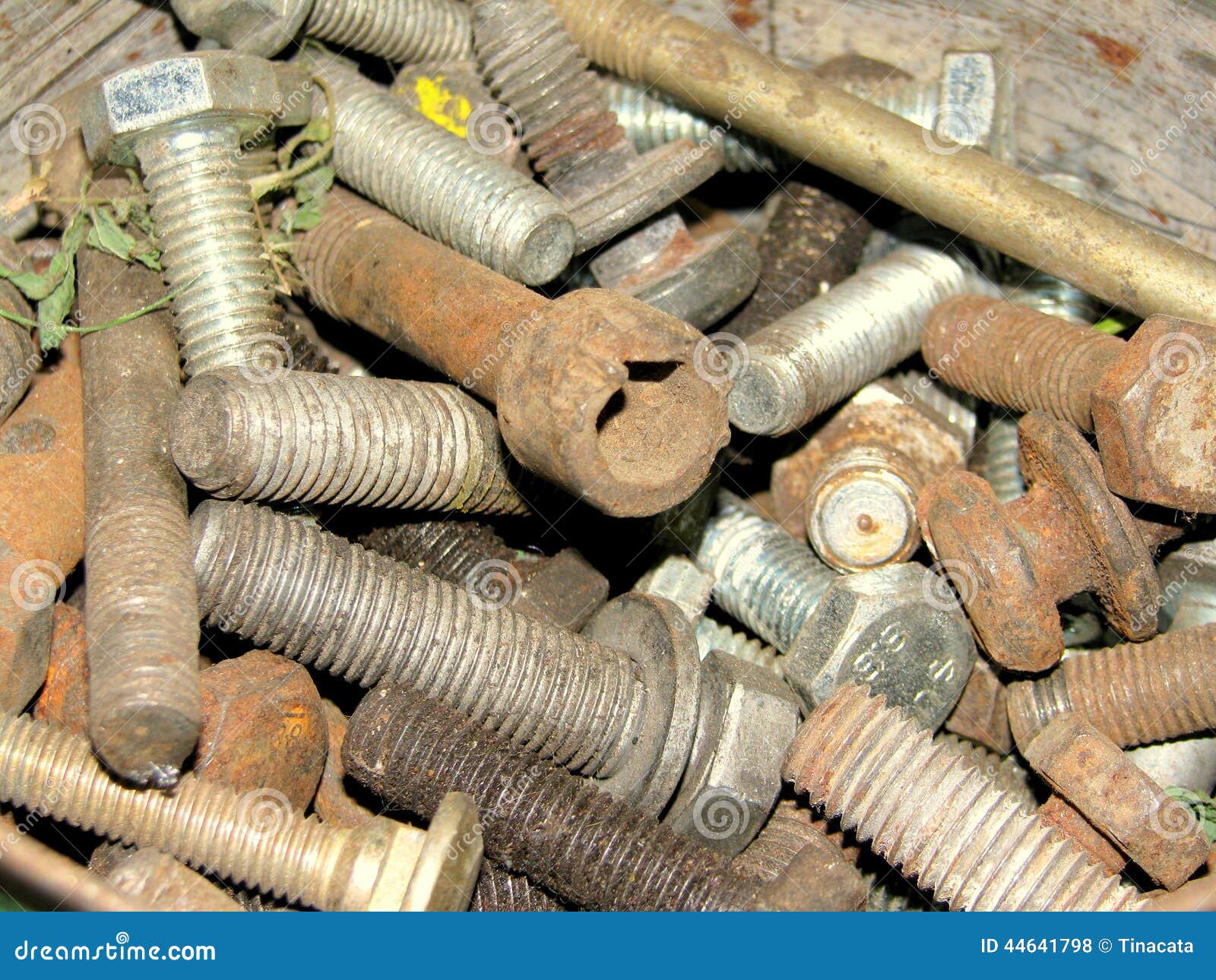 Old screws stock photo. Image of bits, construct, bolt - 44641798