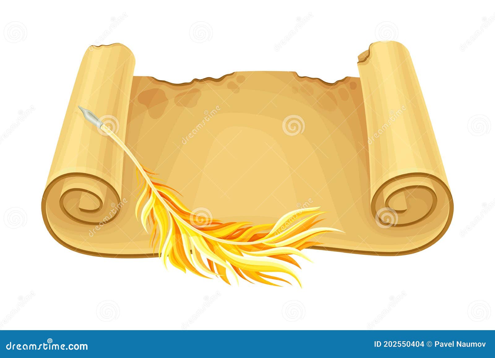 Old Scroll or Curved Manuscript with Quill Vector Illustration Stock ...