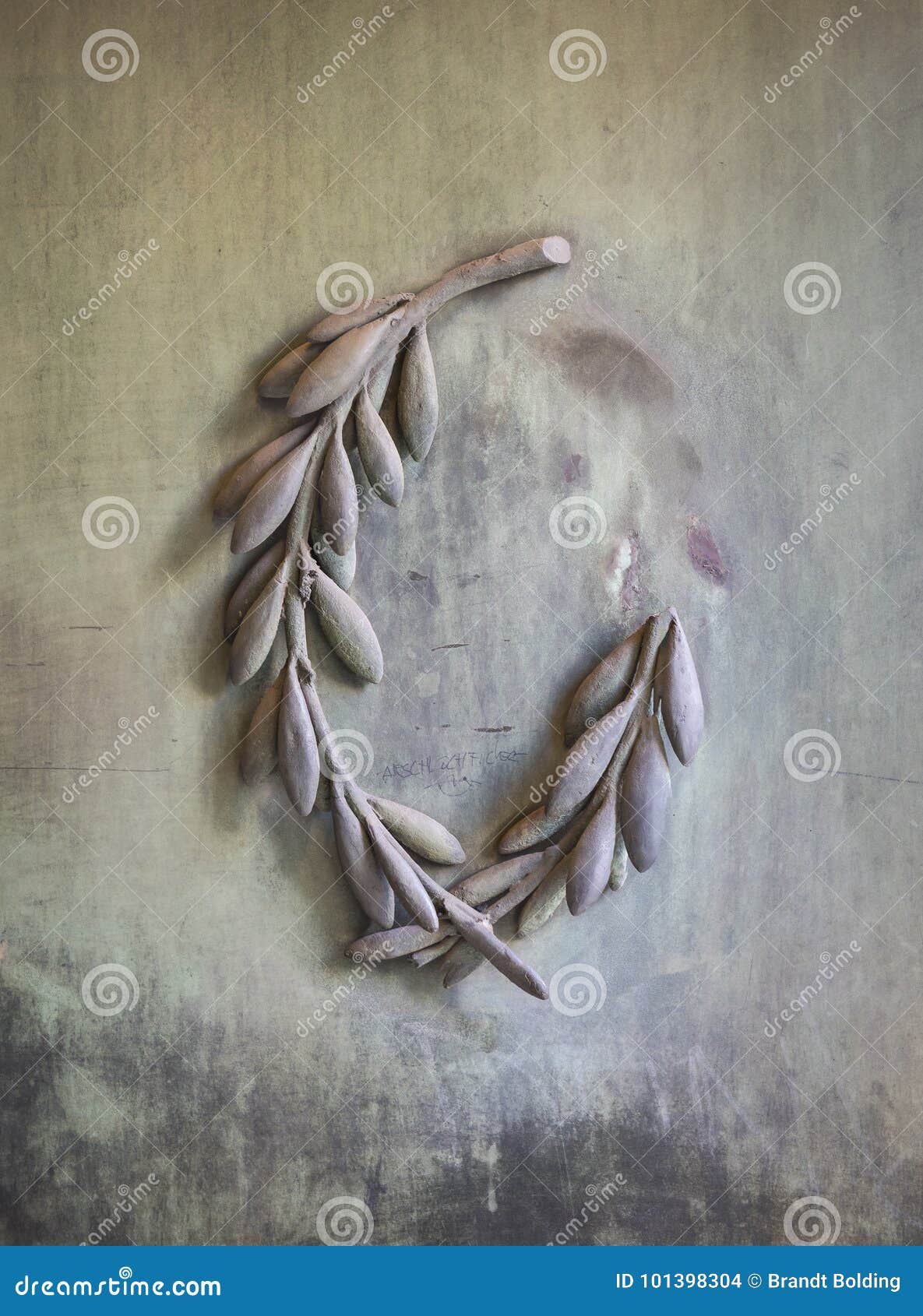 Broken Olive Branch stock photo. Image of branch, relief - 101398304