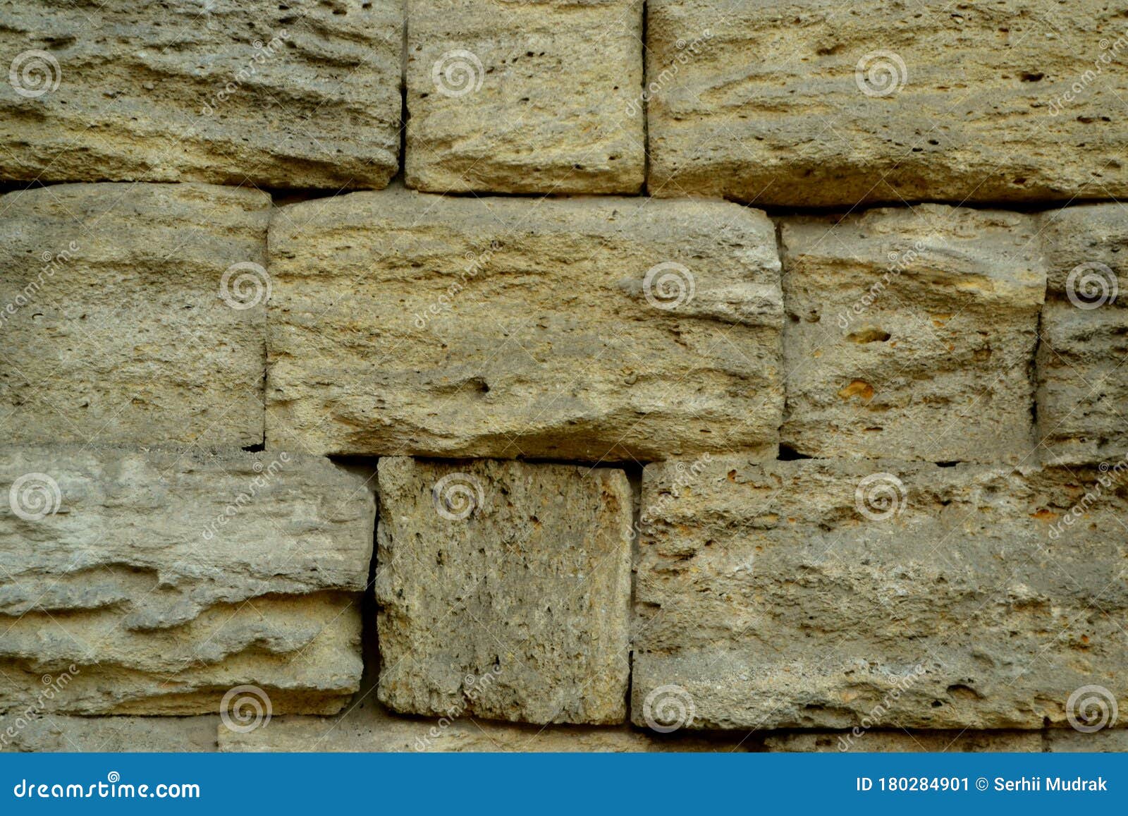 Old Seashell Stone Wall Background Close Up Stock Image - Image of ...