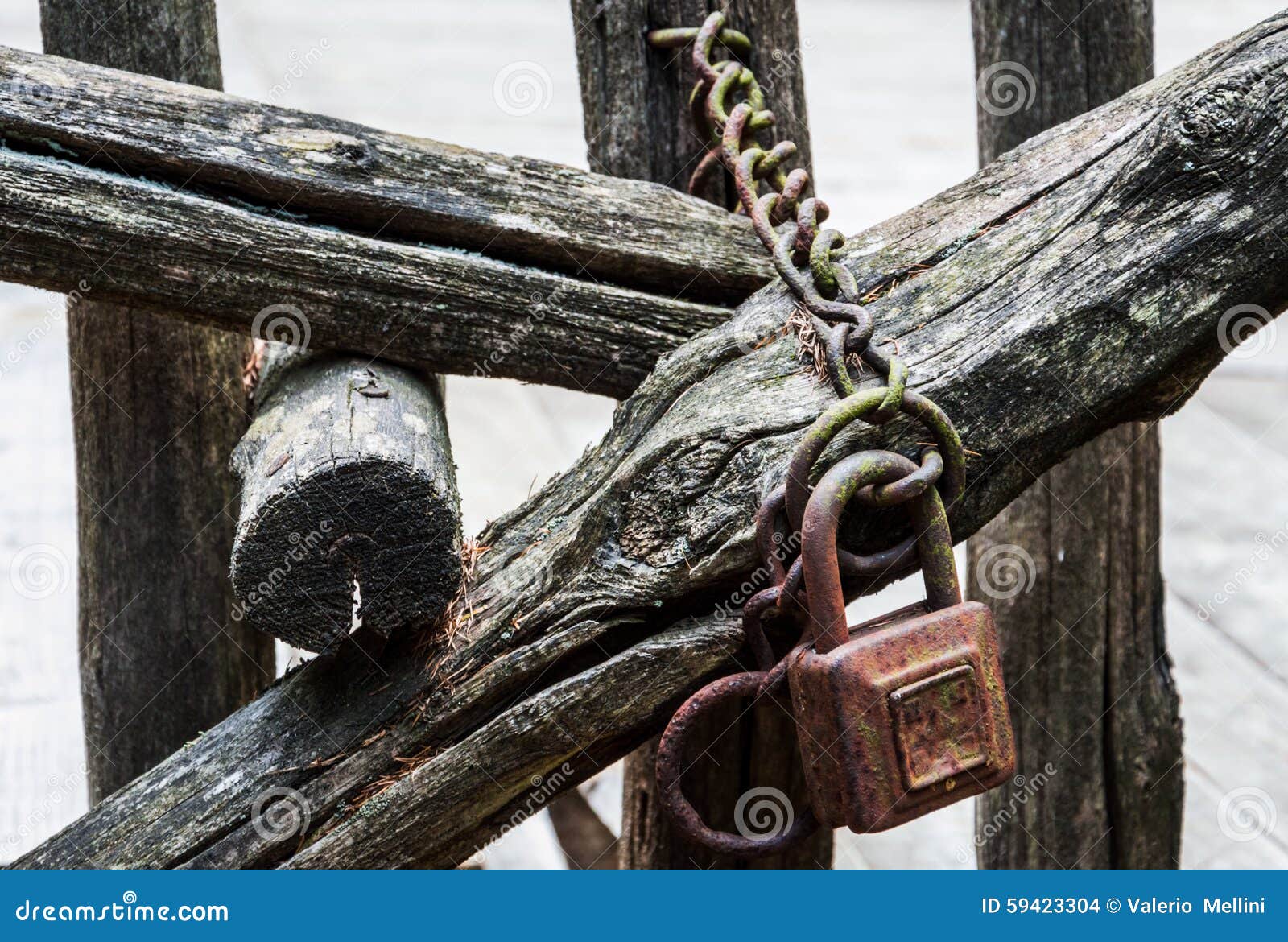 Old Secrets stock photo. Image of padlock, wood, giardino - 59423304