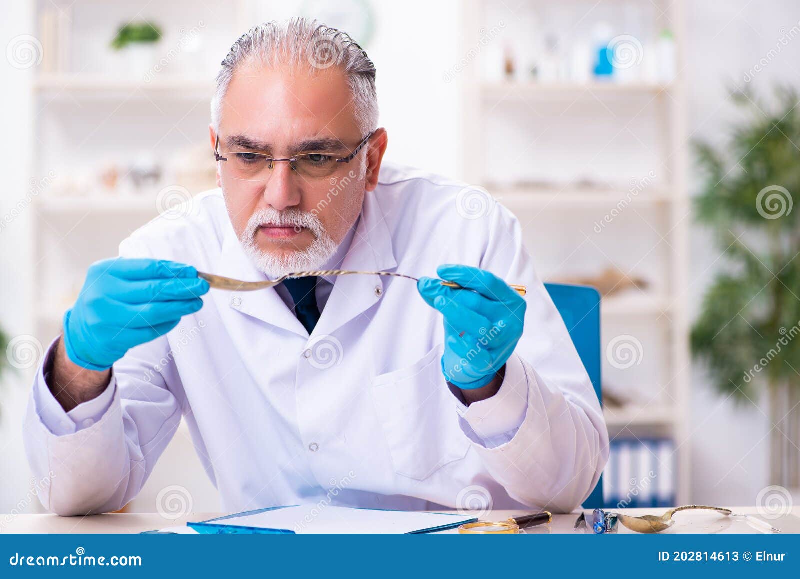 Old Senior Archaeologist Working in the Lab Stock Image - Image of ...